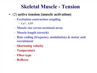 PPT - Functional Dysphonia/ Muscle Tension Dysphonia (MTD) PowerPoint ...