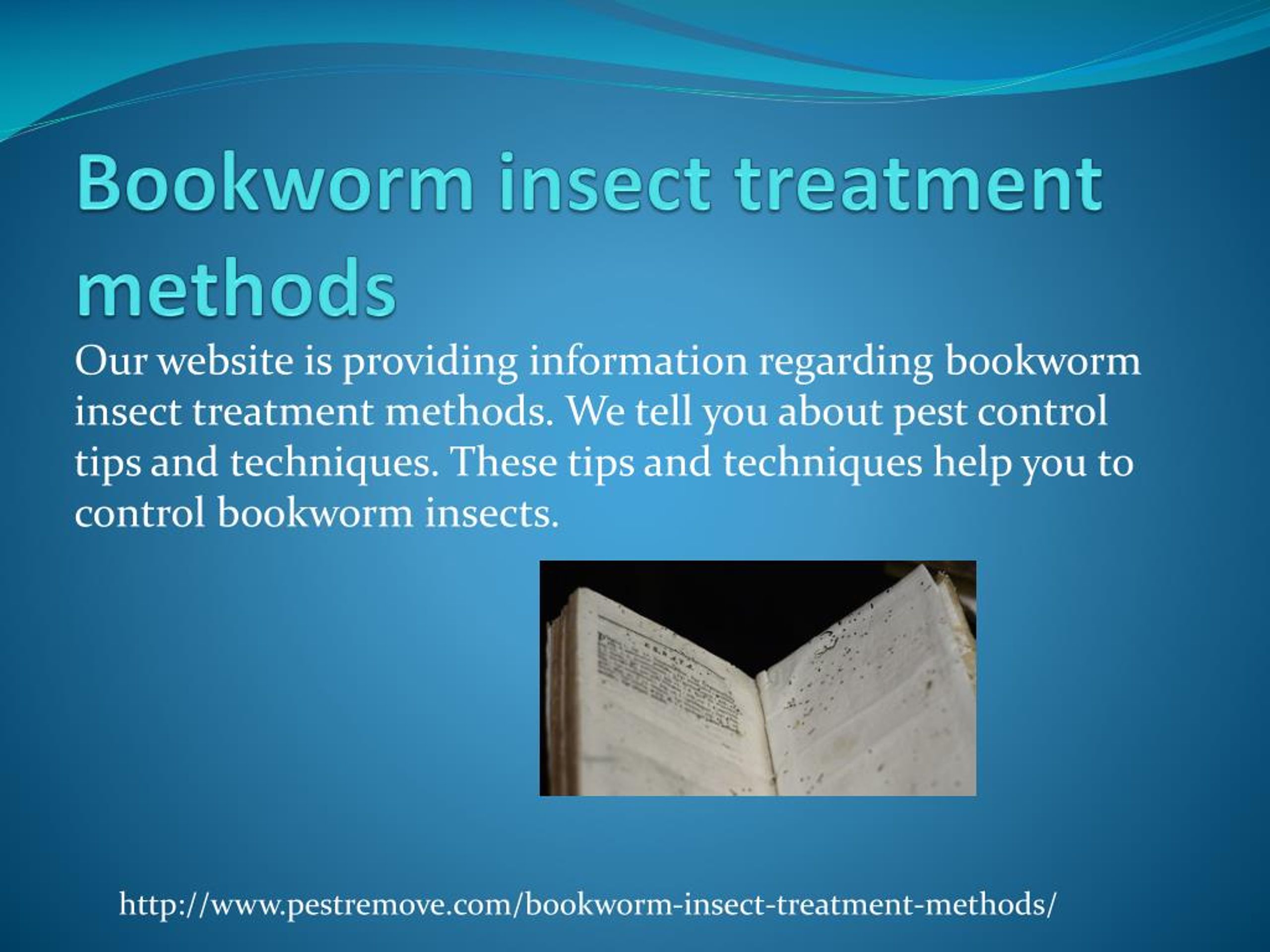 PPT - BOOKWORM INSECT TREATMENT METHODS PowerPoint Presentation, free ...