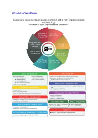 PPT - Introduction to SAP Solution Manager PowerPoint Presentation ...