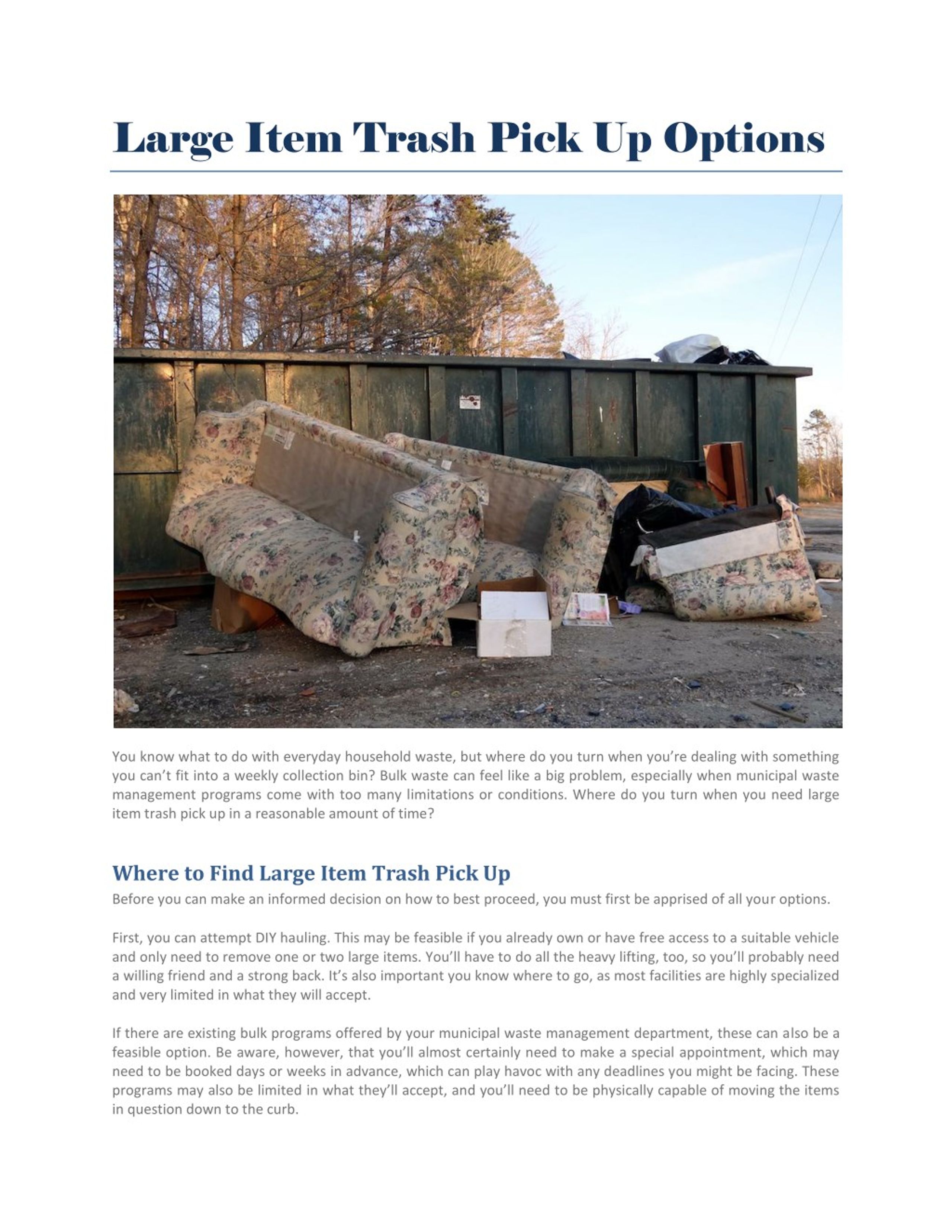 PPT - Large Item Trash Pick Up Options PowerPoint Presentation, free ...