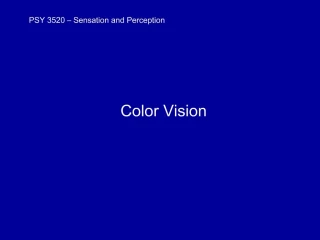 PPT - COLOR VISION PowerPoint Presentation, free download - ID:6118644