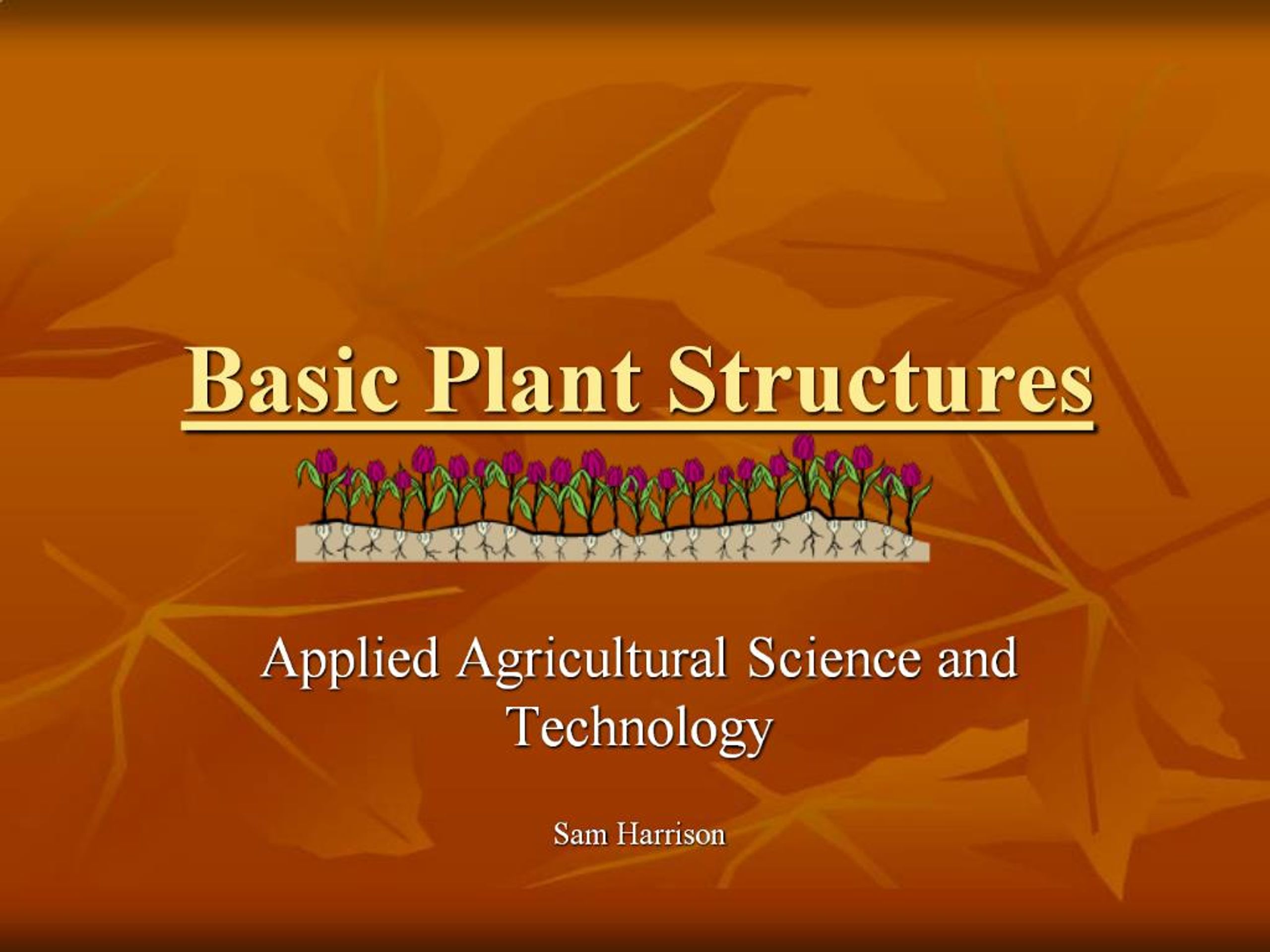 PPT - Basic Plant Structures PowerPoint Presentation, free download ...