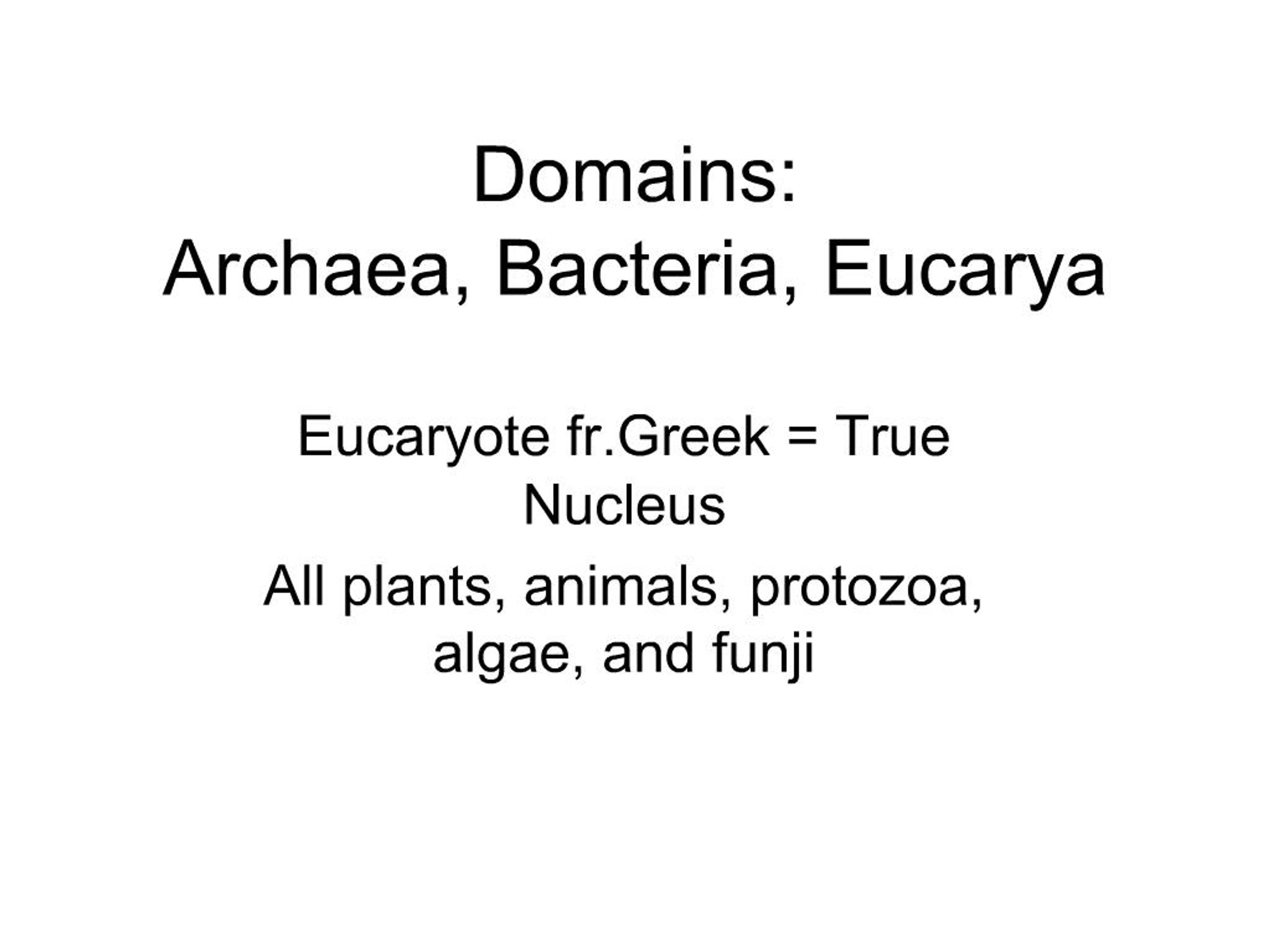 PPT - Domains: Archaea, Bacteria, Eucarya PowerPoint Presentation, free ...