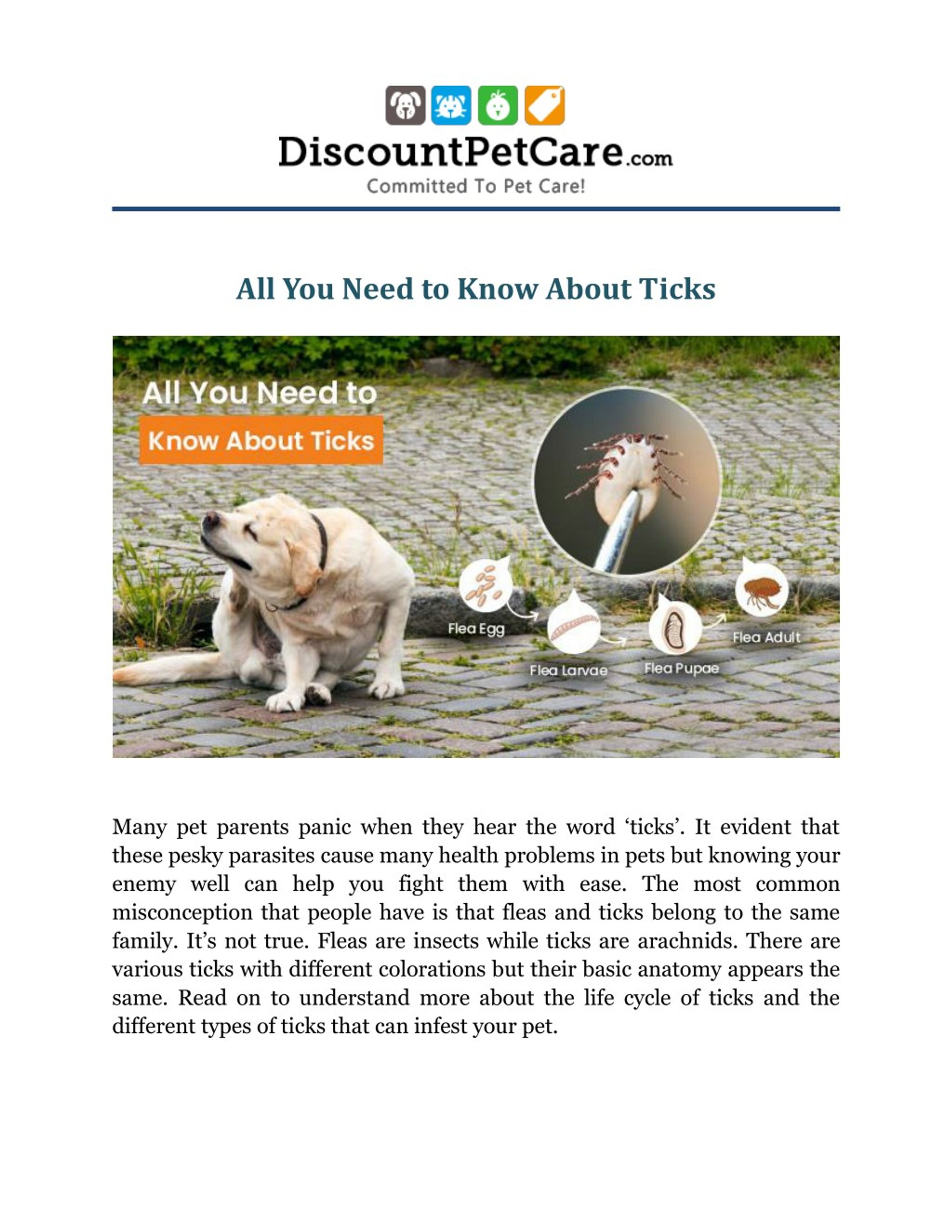 PPT - All You Need to Know About Ticks PowerPoint Presentation, free ...