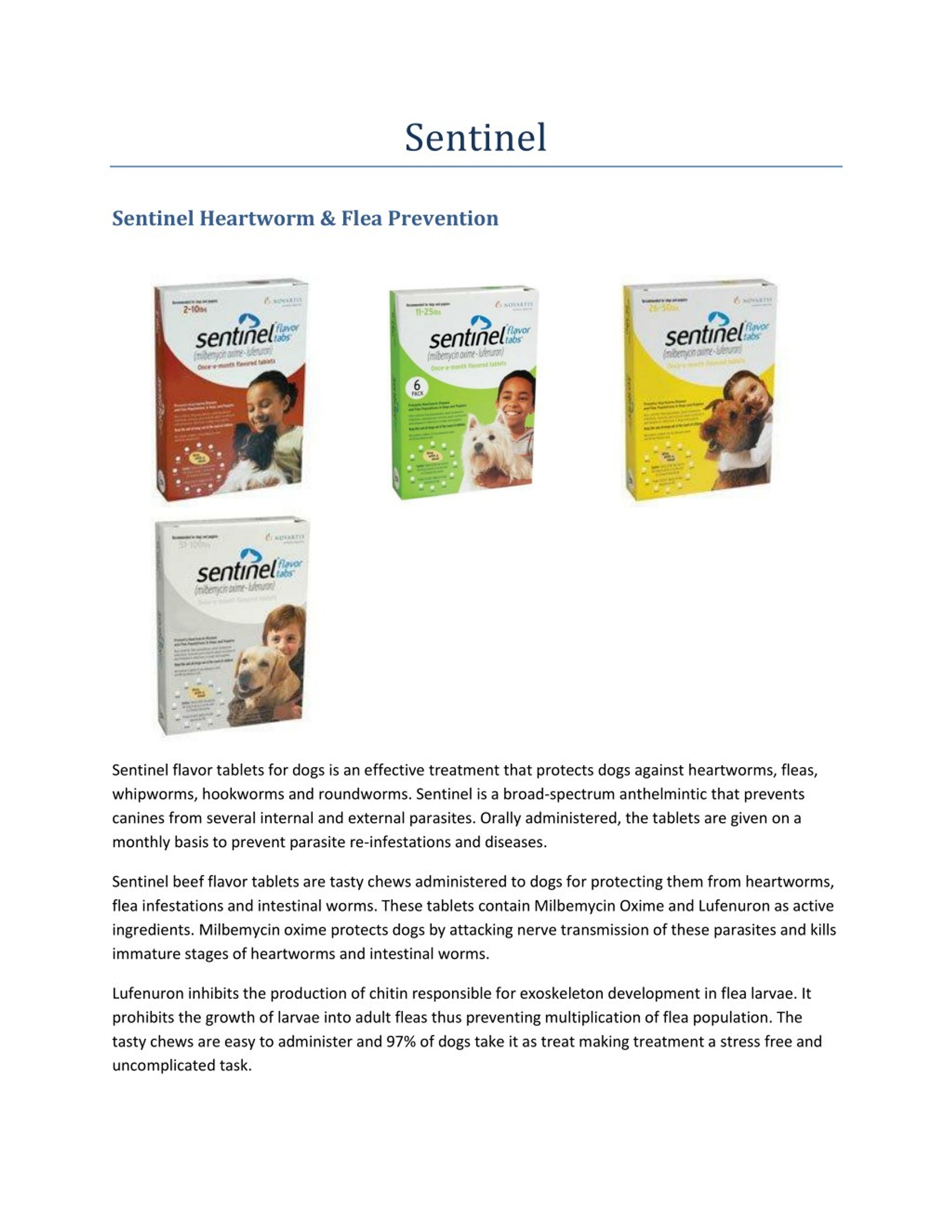 PPT - Sentinel PowerPoint Presentation, free download - ID:7971482