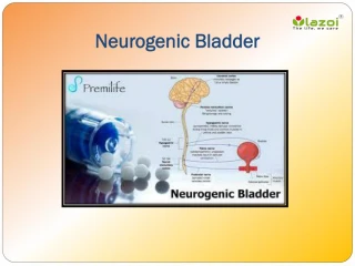 PPT - Management of Neurogenic Bladder Disorders PowerPoint ...