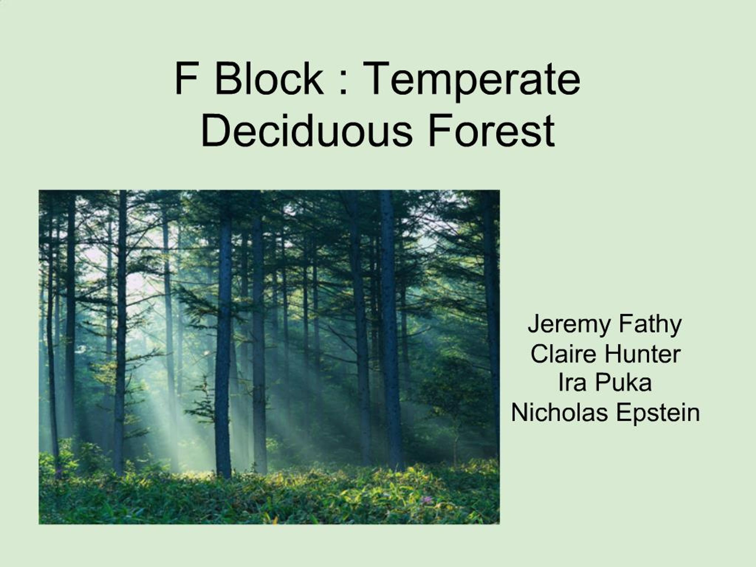 PPT - F Block : Temperate Deciduous Forest PowerPoint Presentation ...