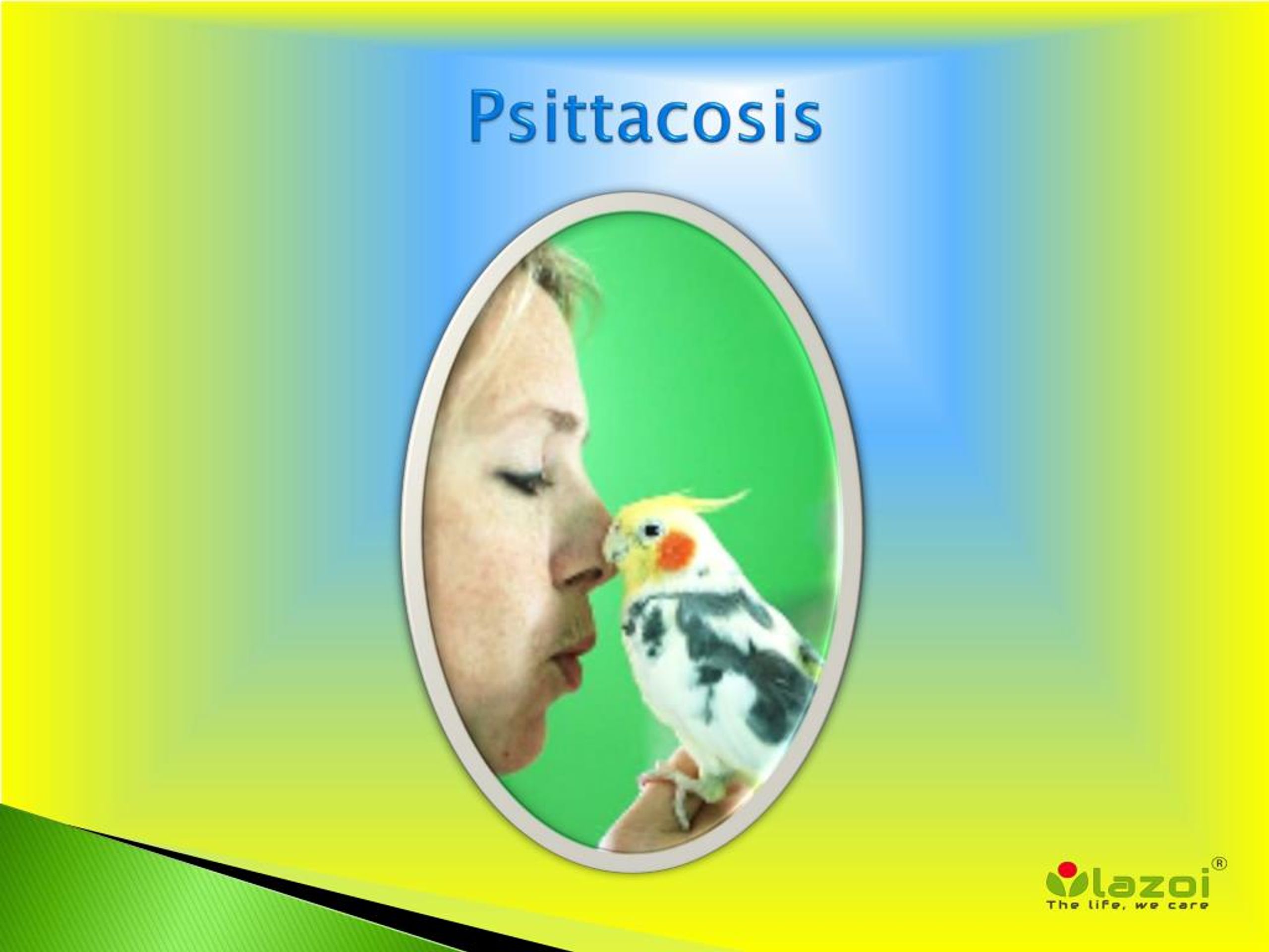 PPT - Psittacosis: Causes, Symptoms, Daignosis, Prevention and ...