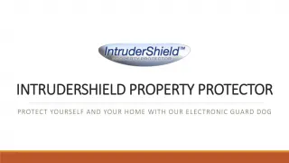 PPT - Secure Your Home With High Security Safes PowerPoint Presentation ...