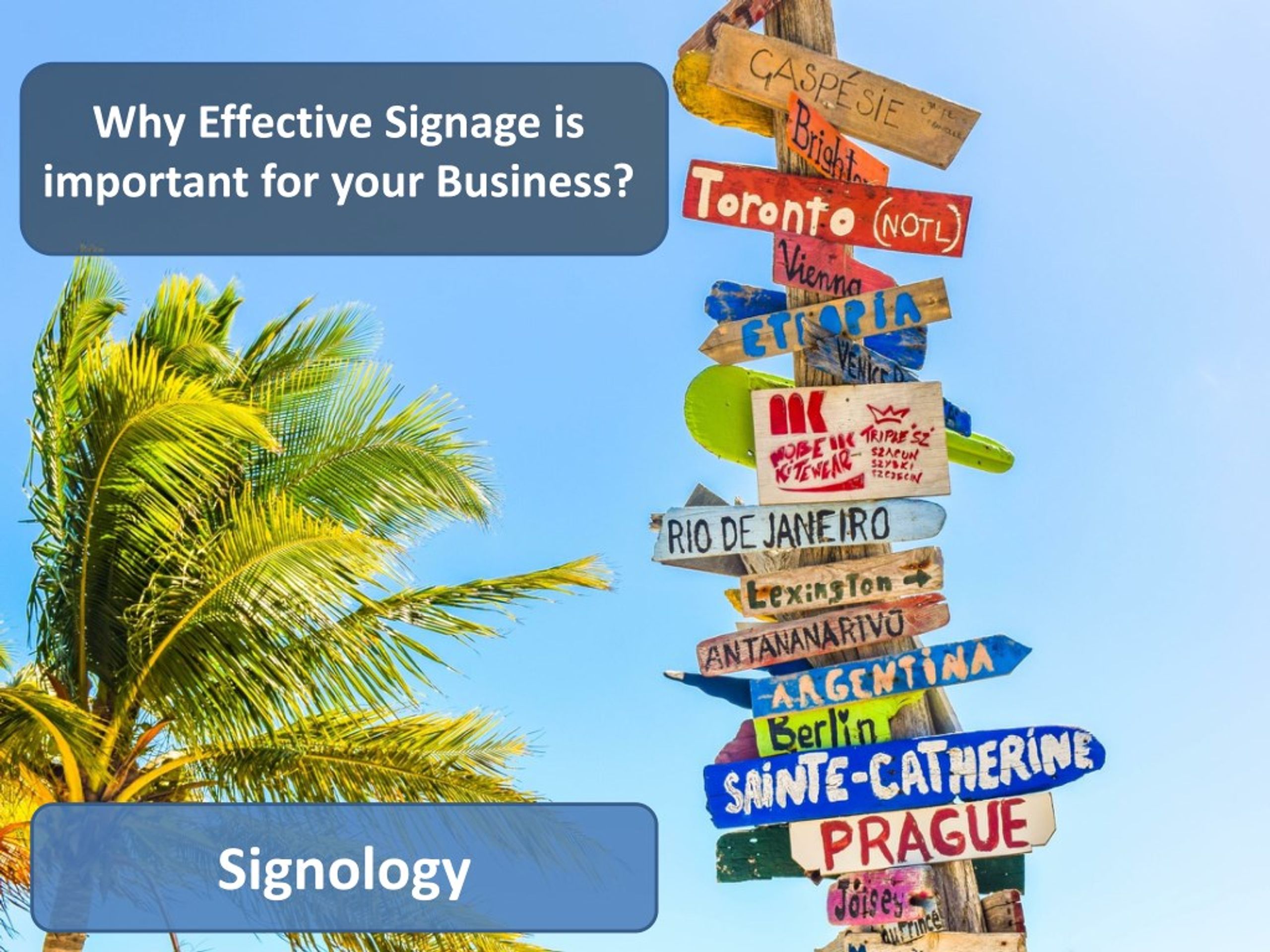 PPT - Why Effective Signage is important for your Business? PowerPoint ...