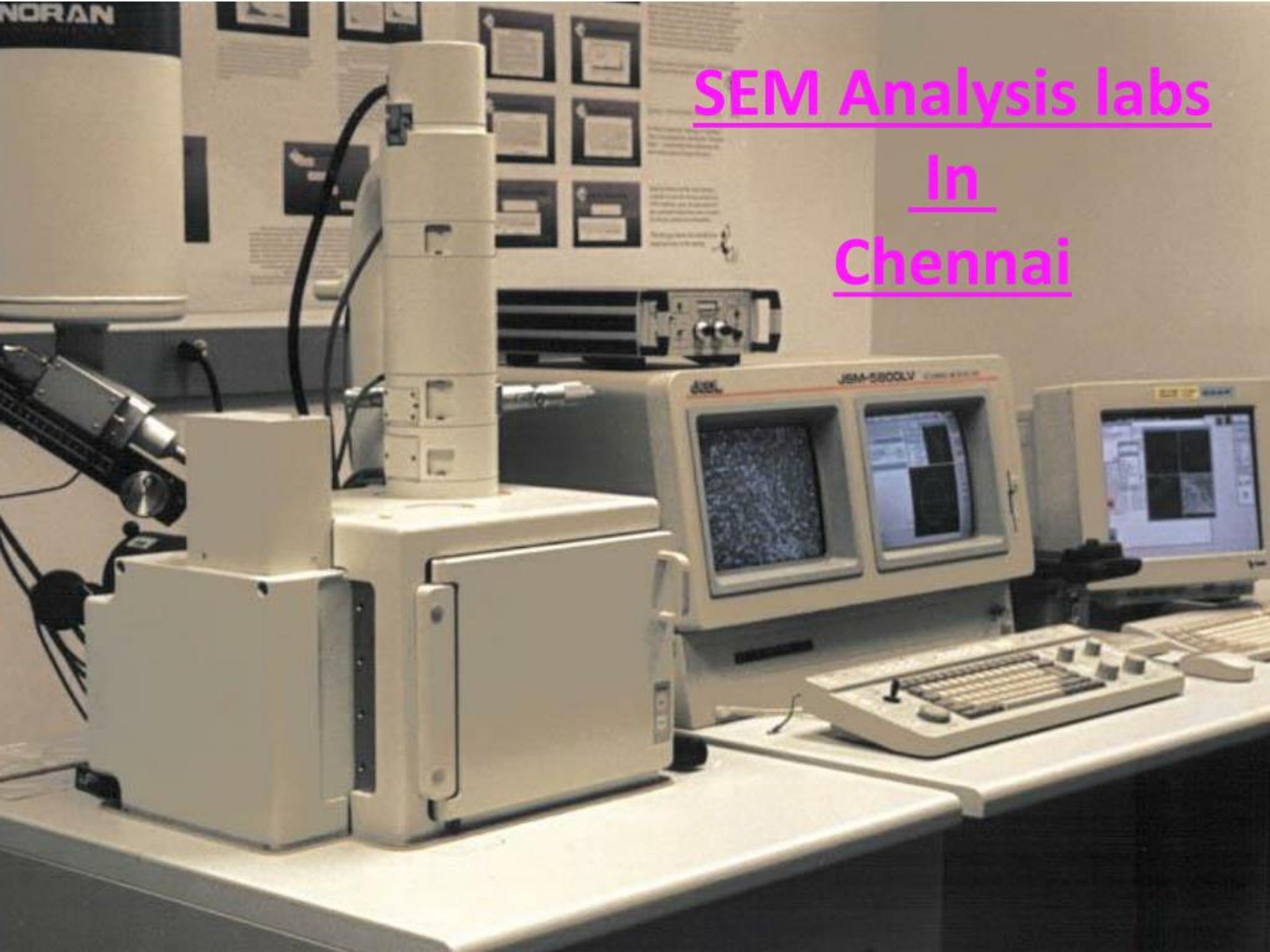 PPT - Best Animal Feed Testing Labs In Chennai PowerPoint Presentation ...