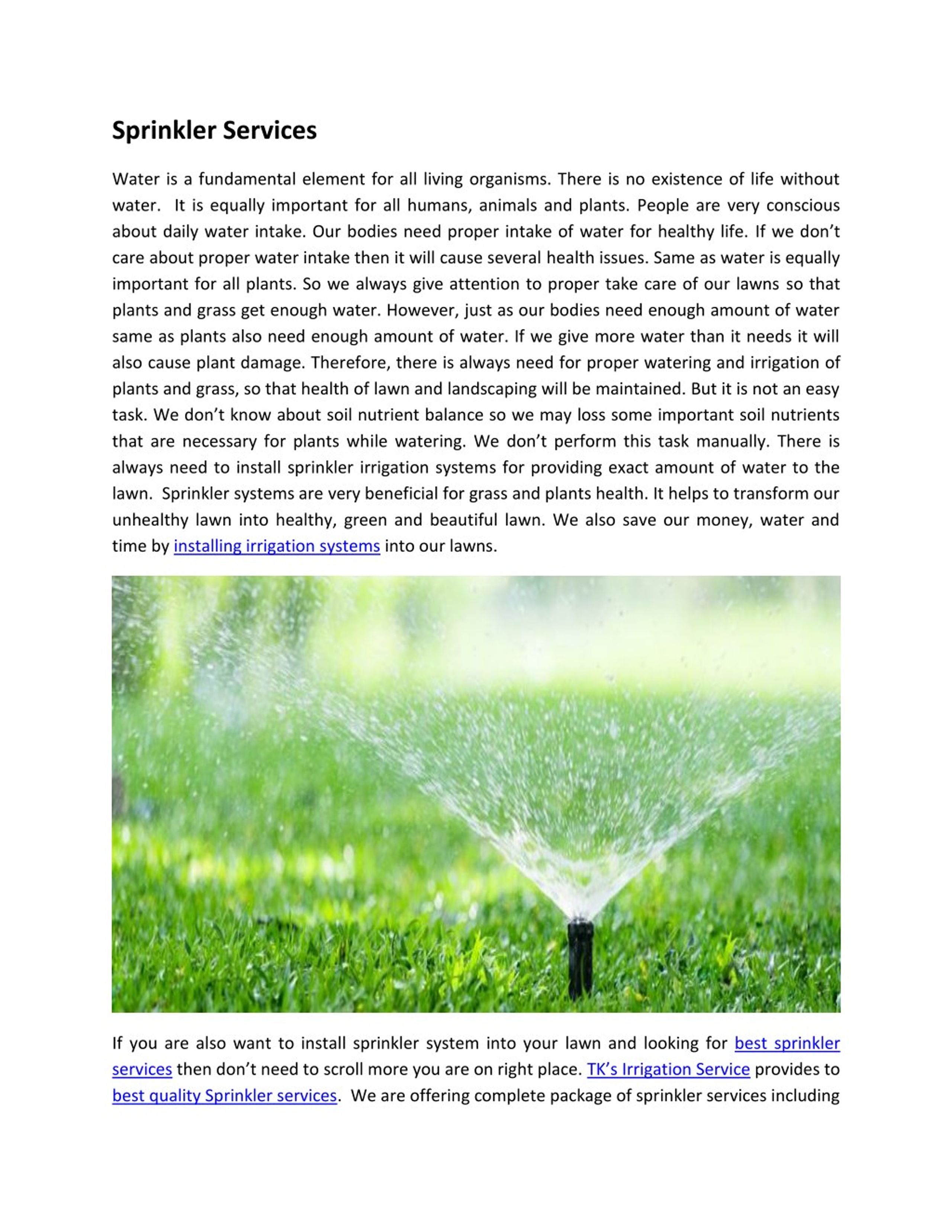 PPT - Sprinkler Services PowerPoint Presentation, free download - ID ...