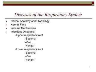 PPT - The Diseases of the Respiratory System PowerPoint Presentation ...