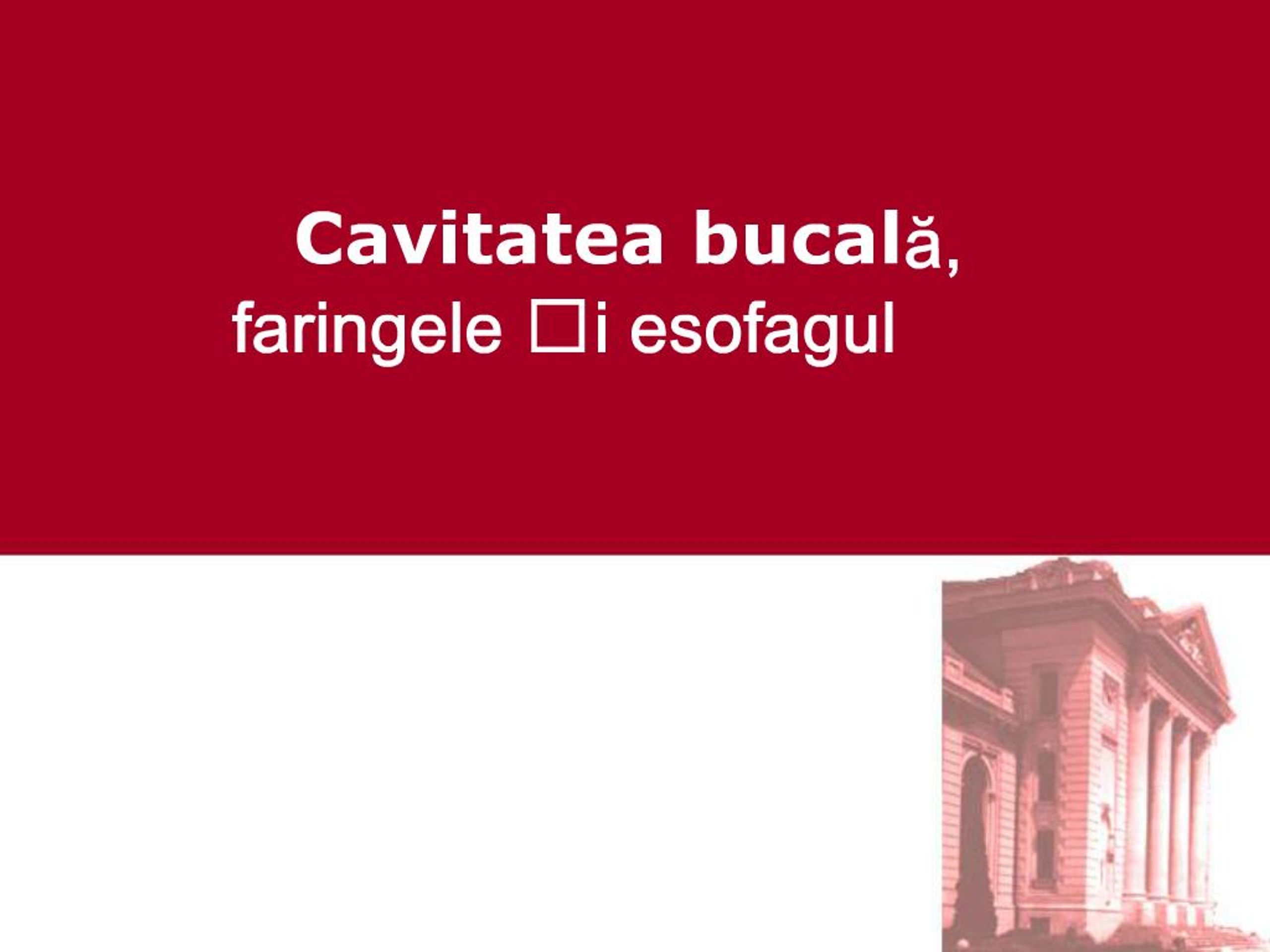 PPT - Cavitatea bucala, faringele i esofagul PowerPoint Presentation ...