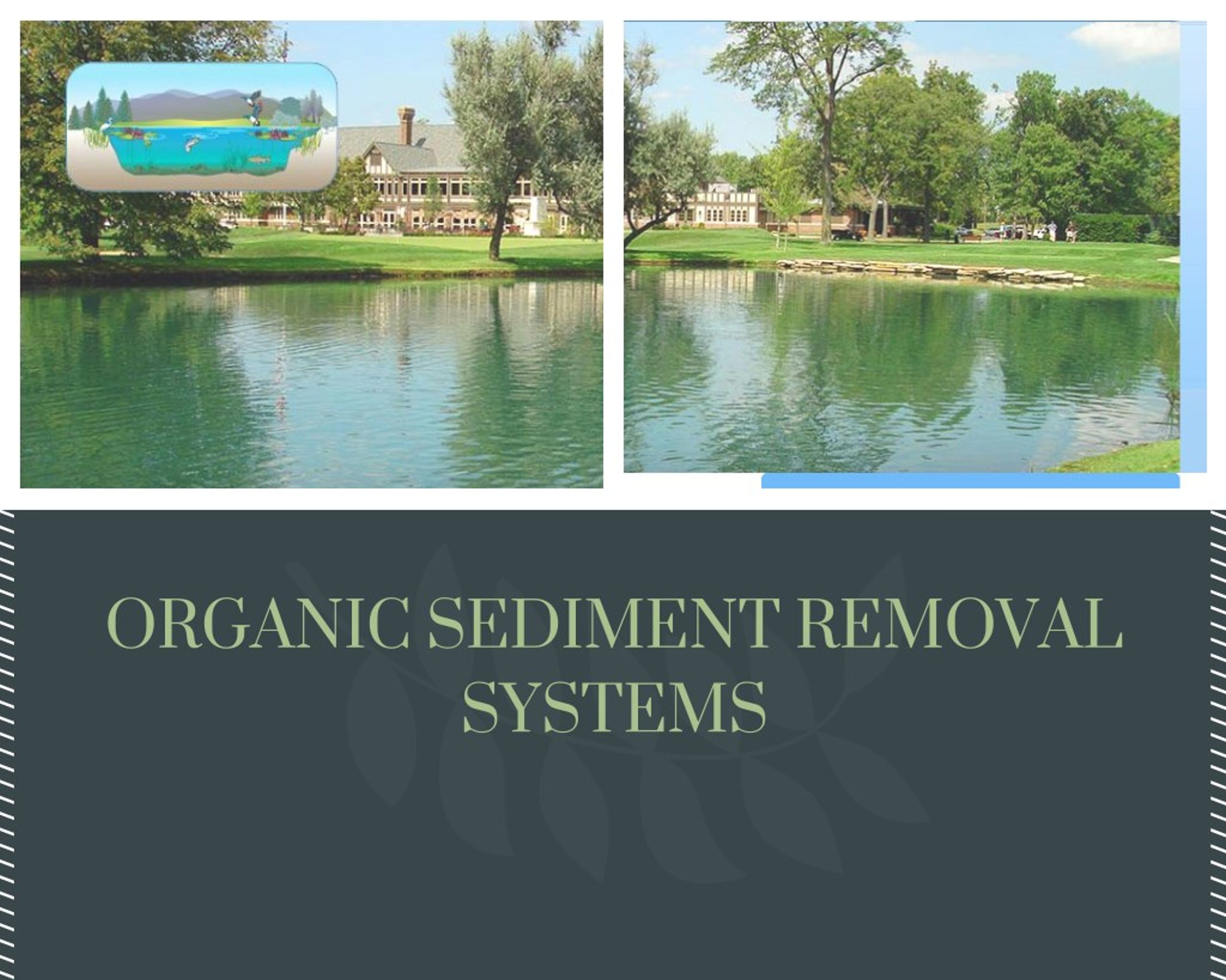 PPT - Organic Sediment Removal Systems PowerPoint Presentation, free ...