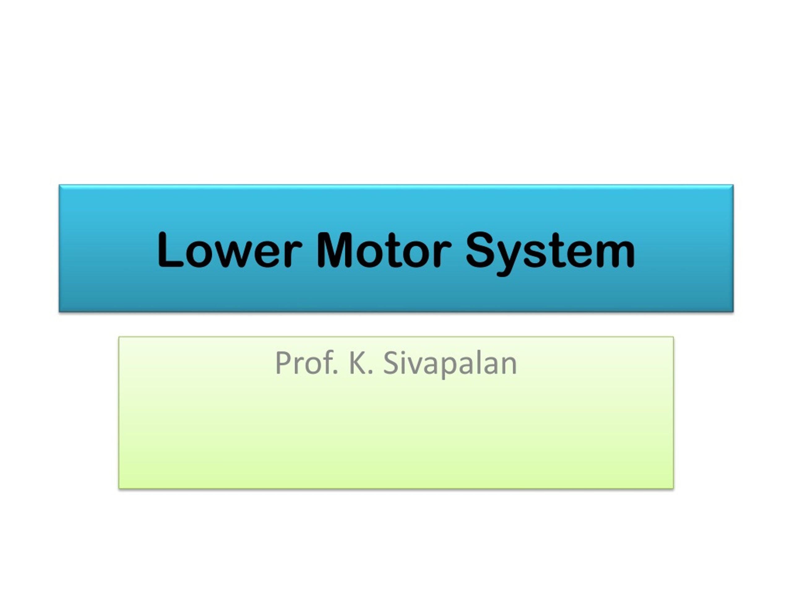 PPT - Lower Motor System PowerPoint Presentation, free download - ID:810439