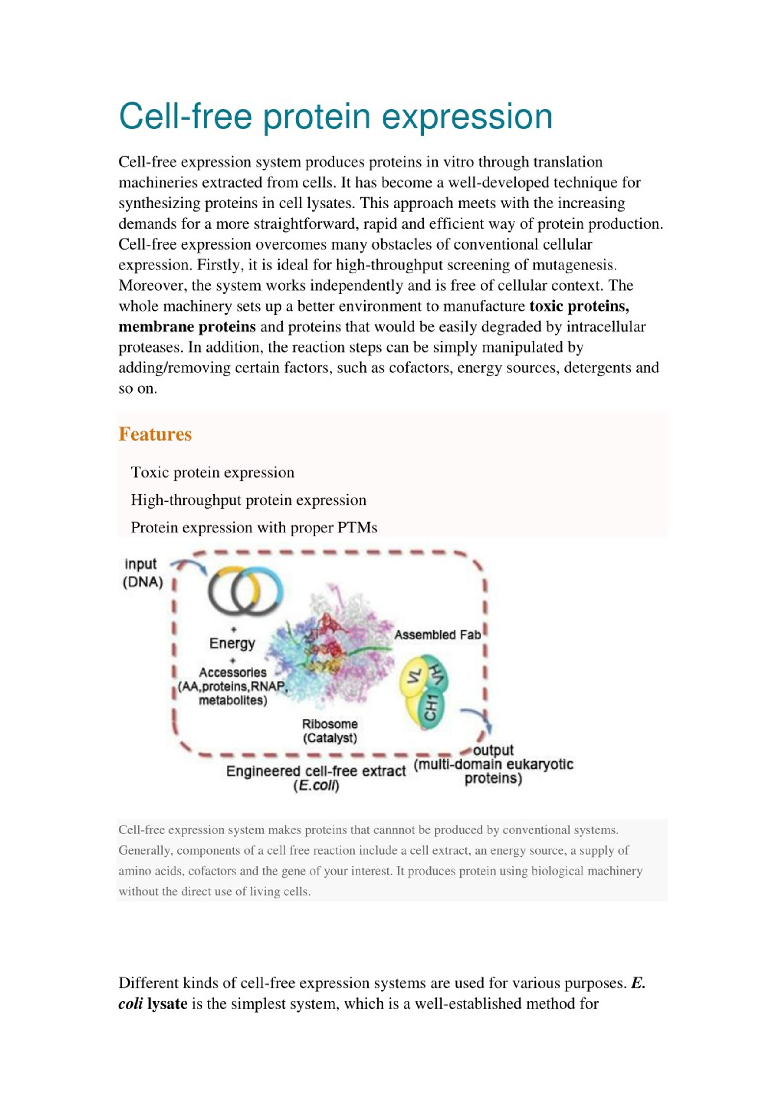 PPT - Cell-free protein expression PowerPoint Presentation, free ...