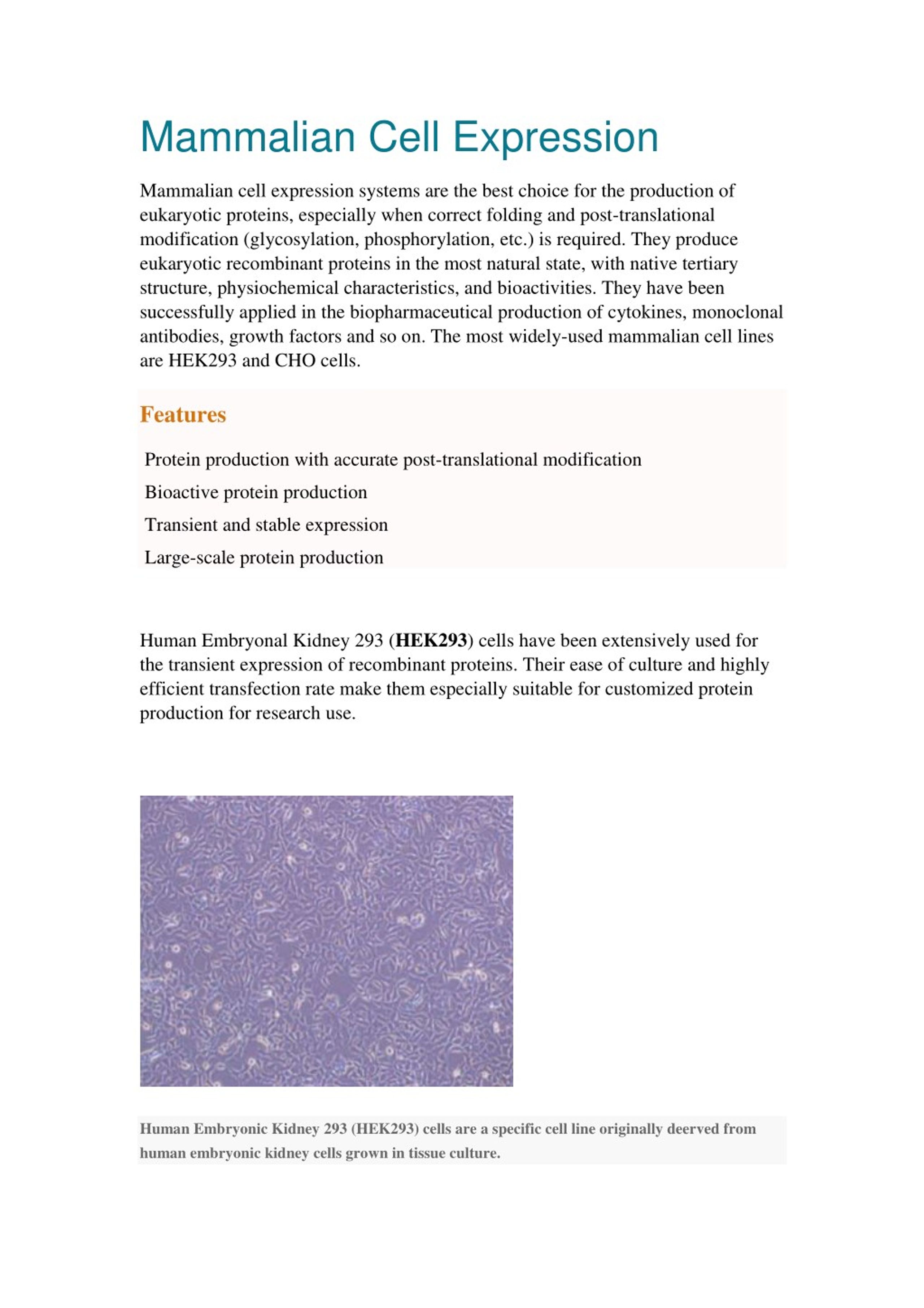 PPT - Mammalian Cell Expression PowerPoint Presentation, free download ...