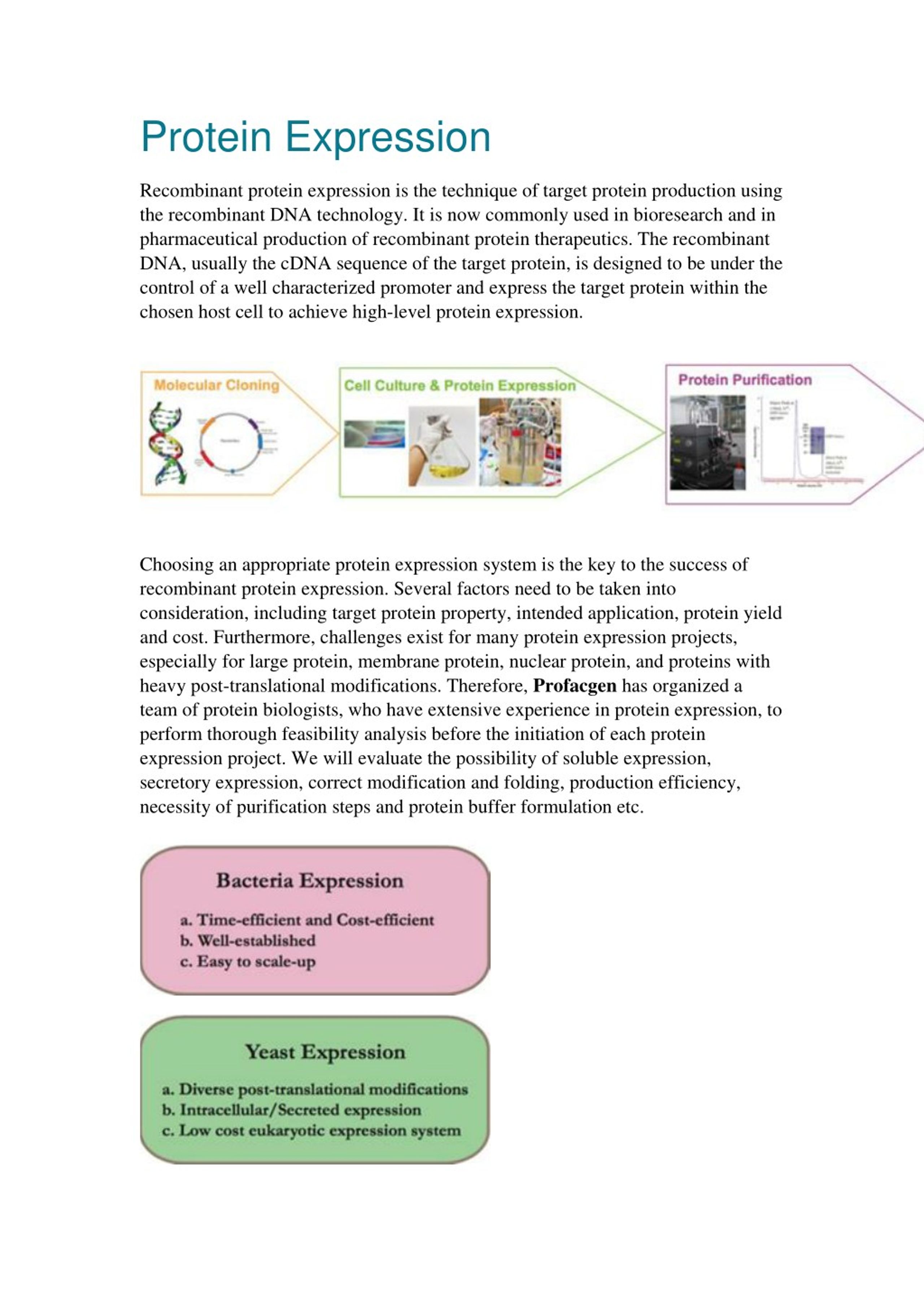 PPT - Protein Expression PowerPoint Presentation, free download - ID ...