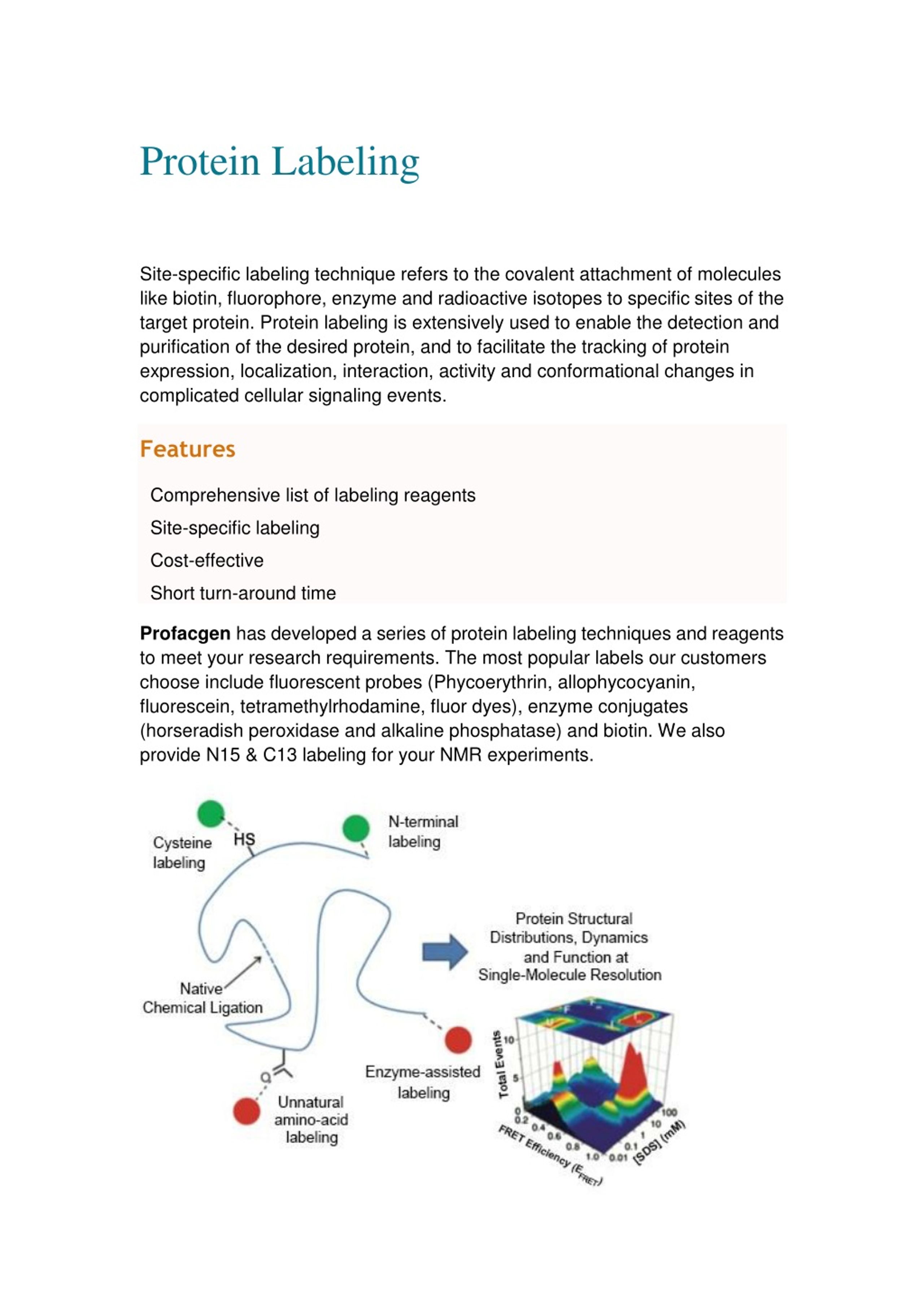 PPT - An Introduction for Protein Labeling PowerPoint Presentation ...