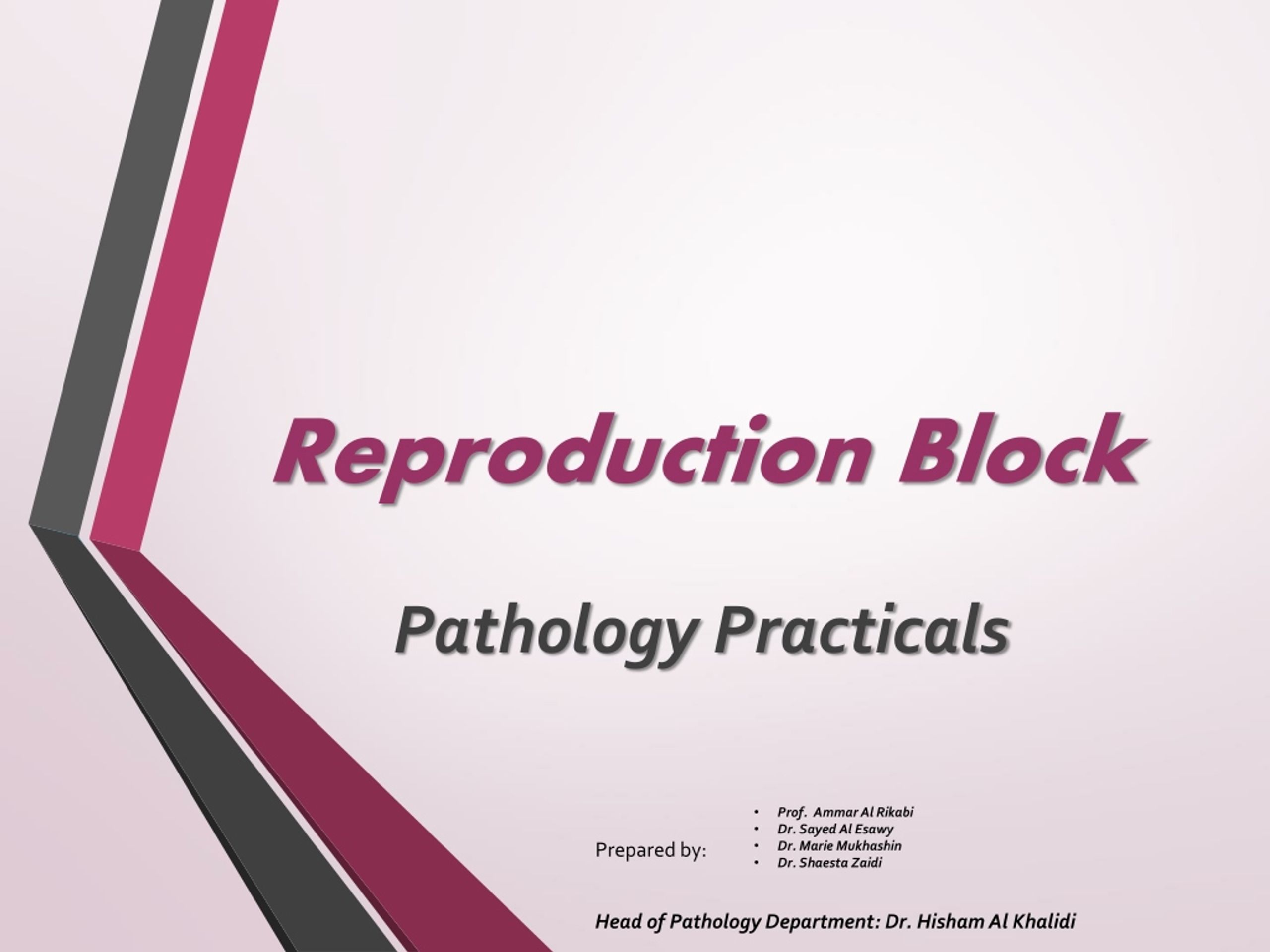 PPT - Reproduction Block Pathology Practicals PowerPoint Presentation ...
