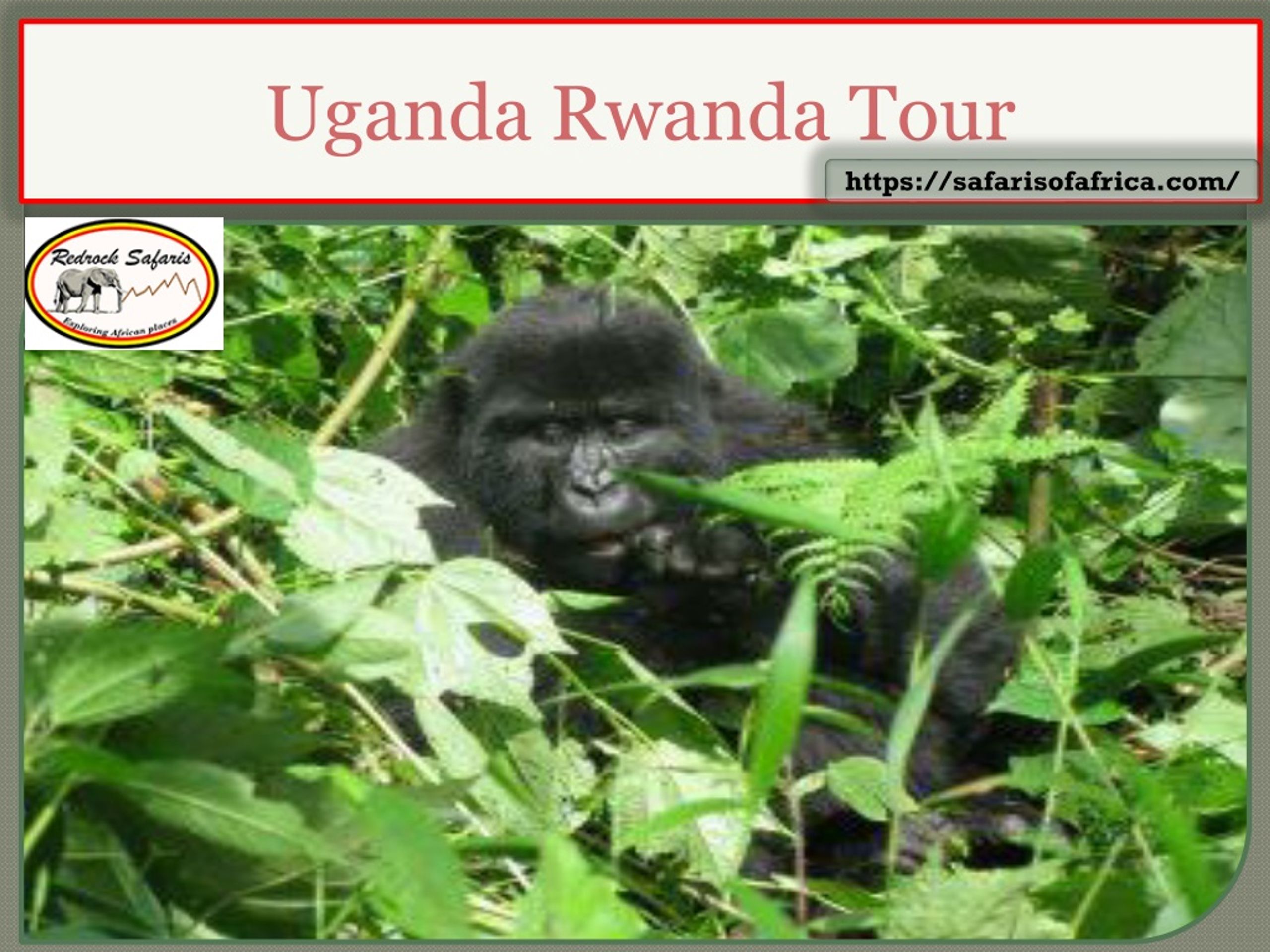 PPT - Uganda Rwanda Tour PowerPoint Presentation, free download - ID ...