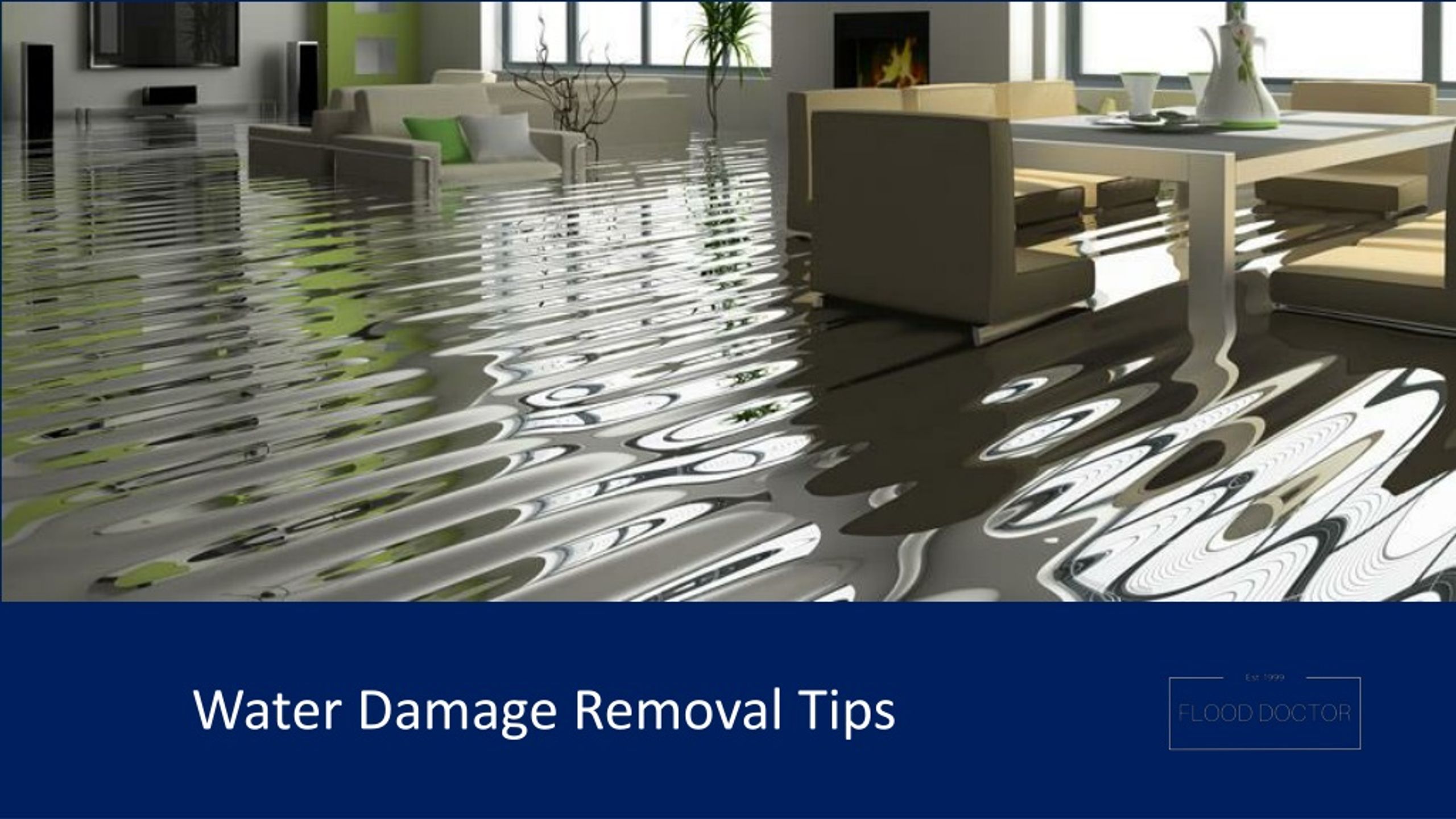 PPT - Water Damage Removal Tips PowerPoint Presentation, free download ...