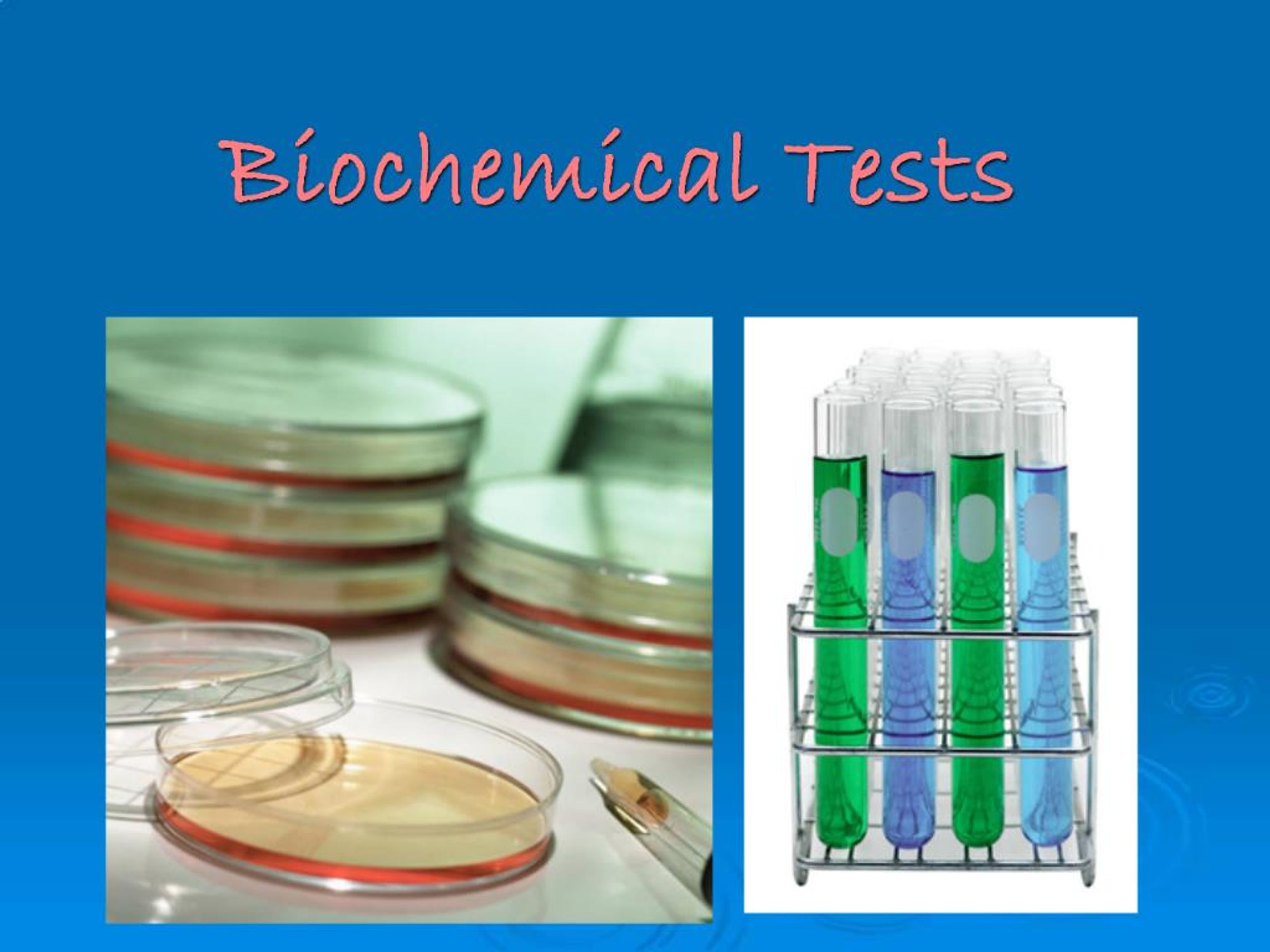 PPT - Biochemical Tests PowerPoint Presentation, free download - ID:818651