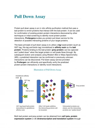 PPT - DNA Pull-down Protocol PowerPoint Presentation, free download ...