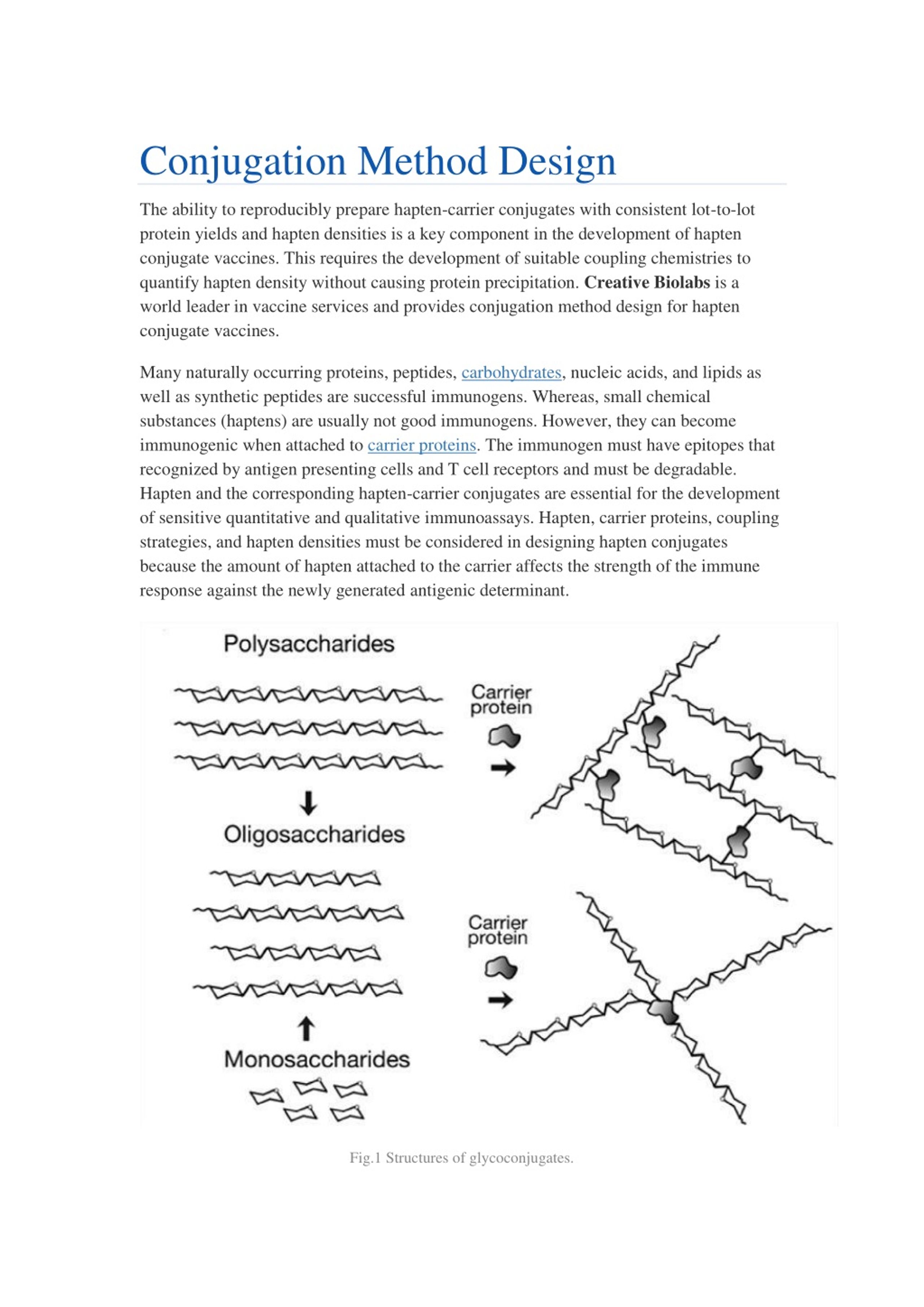 PPT - Conjugation Method Design PowerPoint Presentation, free download ...