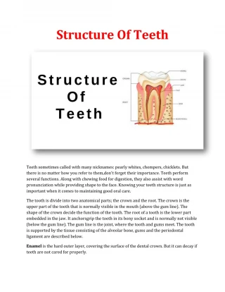 PPT - Resorption of Teeth PowerPoint Presentation, free download - ID ...