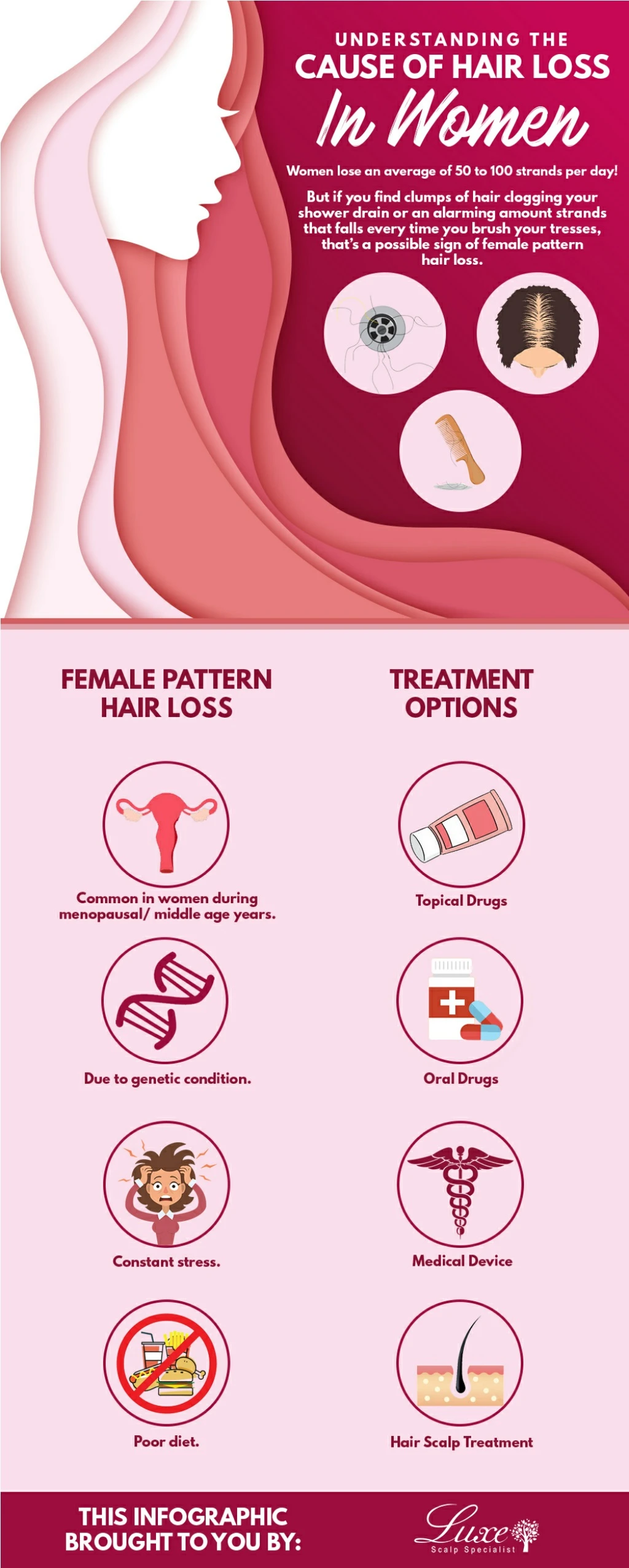 Ppt Understanding The Cause Of Hair Loss In Women Powerpoint