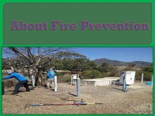 PPT - Fire Prevention Plan PowerPoint Presentation, free download - ID ...