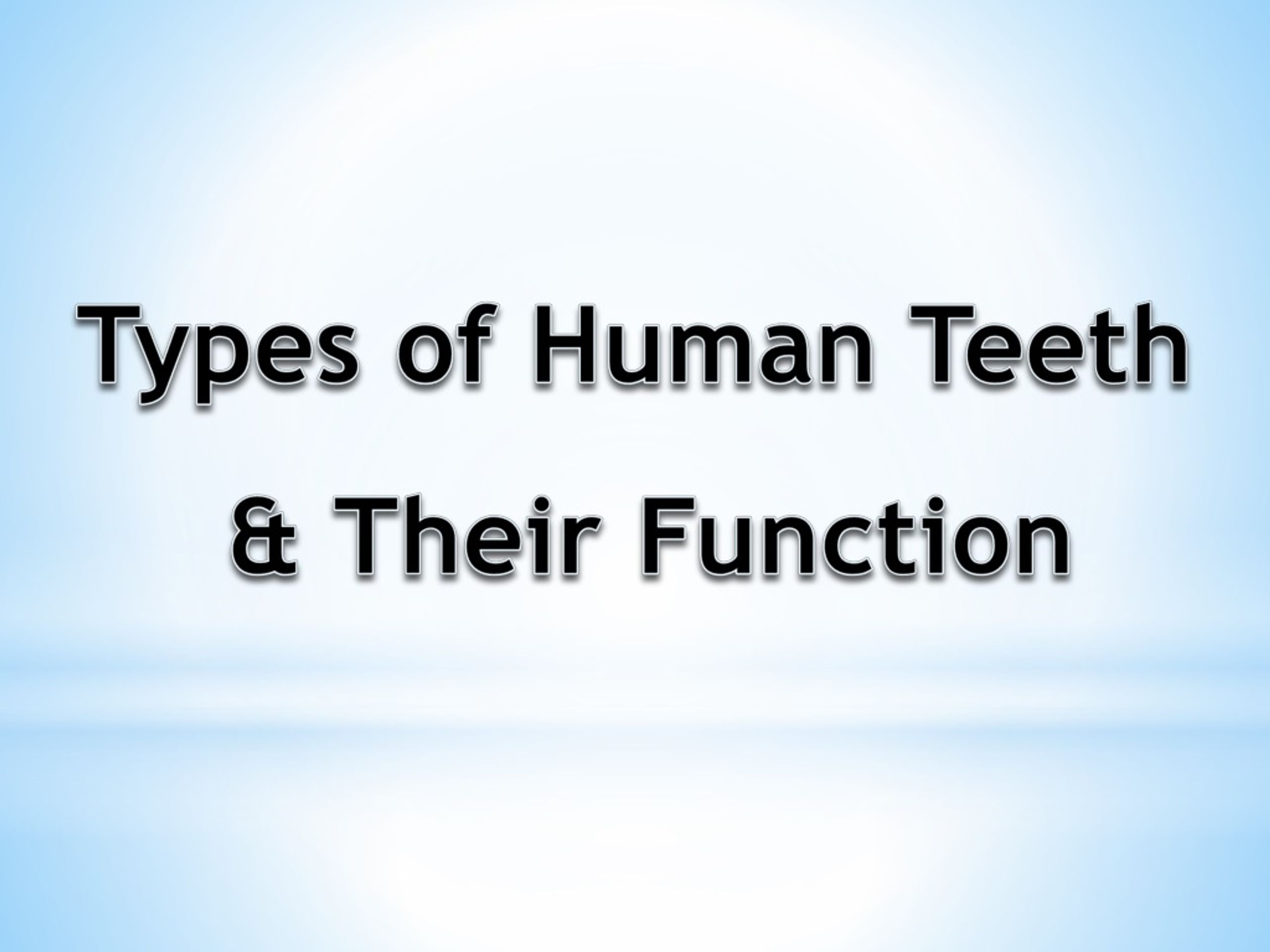 PPT - Types of Human Teeth & Their Function PowerPoint Presentation ...