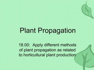PPT - Plant Propagation PowerPoint Presentation, free download - ID:186774