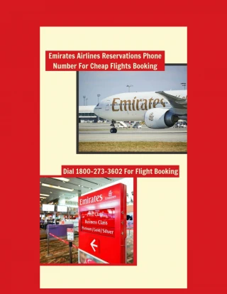 PPT - EMIRATES AIRLINES PowerPoint Presentation, free download - ID:2078961