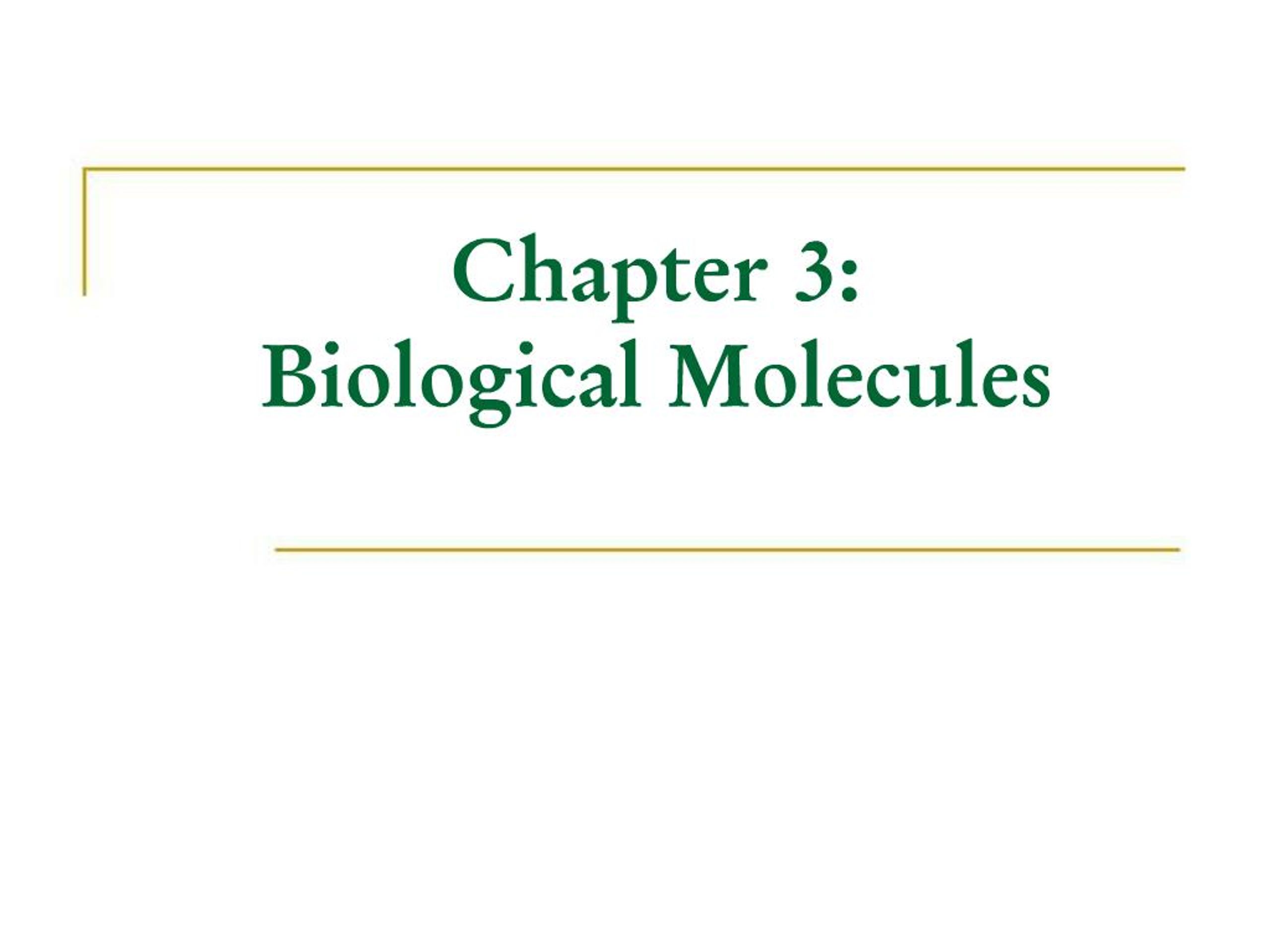PPT - Chapter 3: Biological Molecules PowerPoint Presentation, free ...