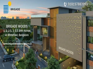 PPT - The Kitchen Brigade PowerPoint Presentation, free download - ID:634294