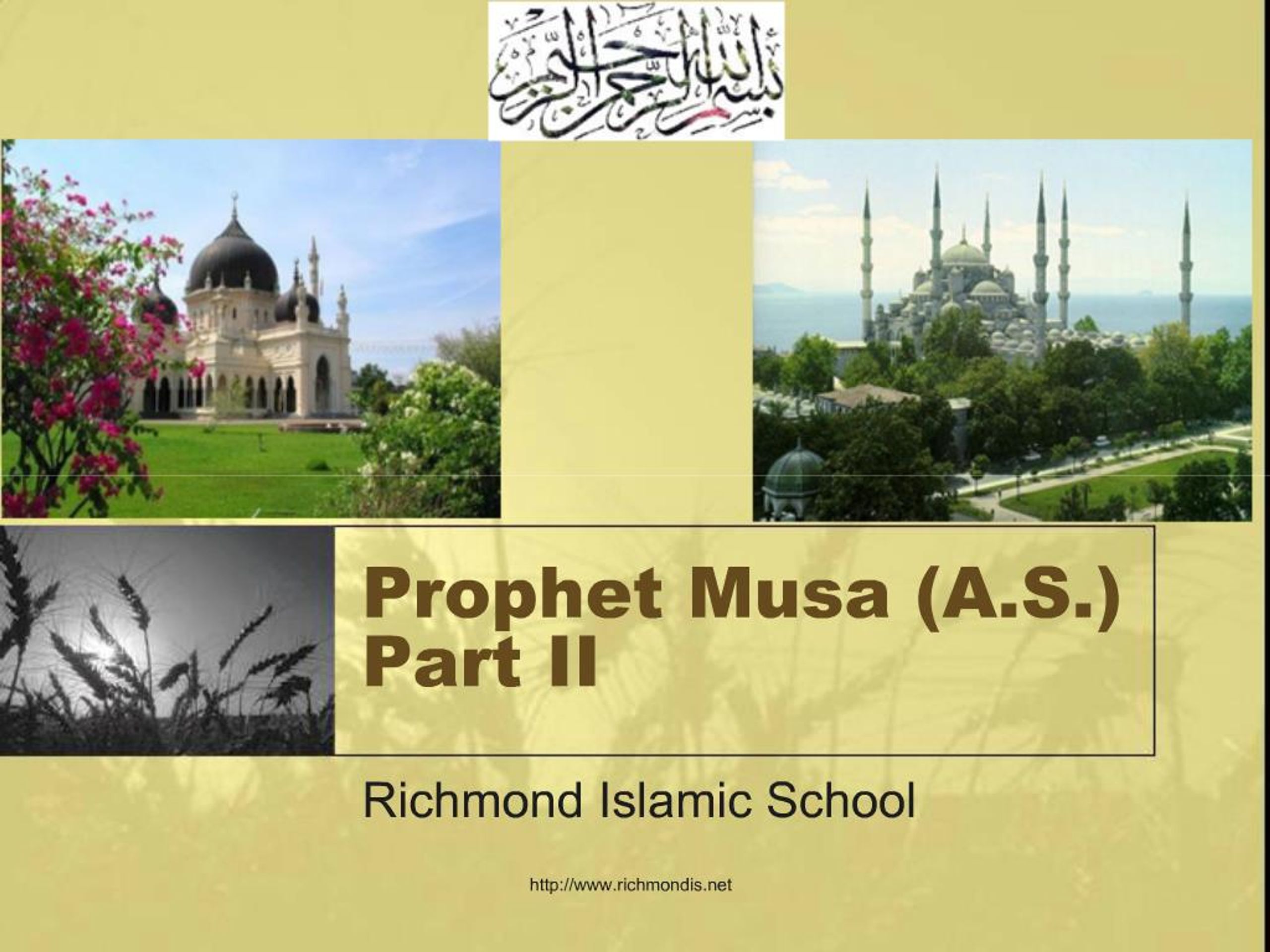 PPT - Prophet Musa A.S. Part II PowerPoint Presentation, free download ...
