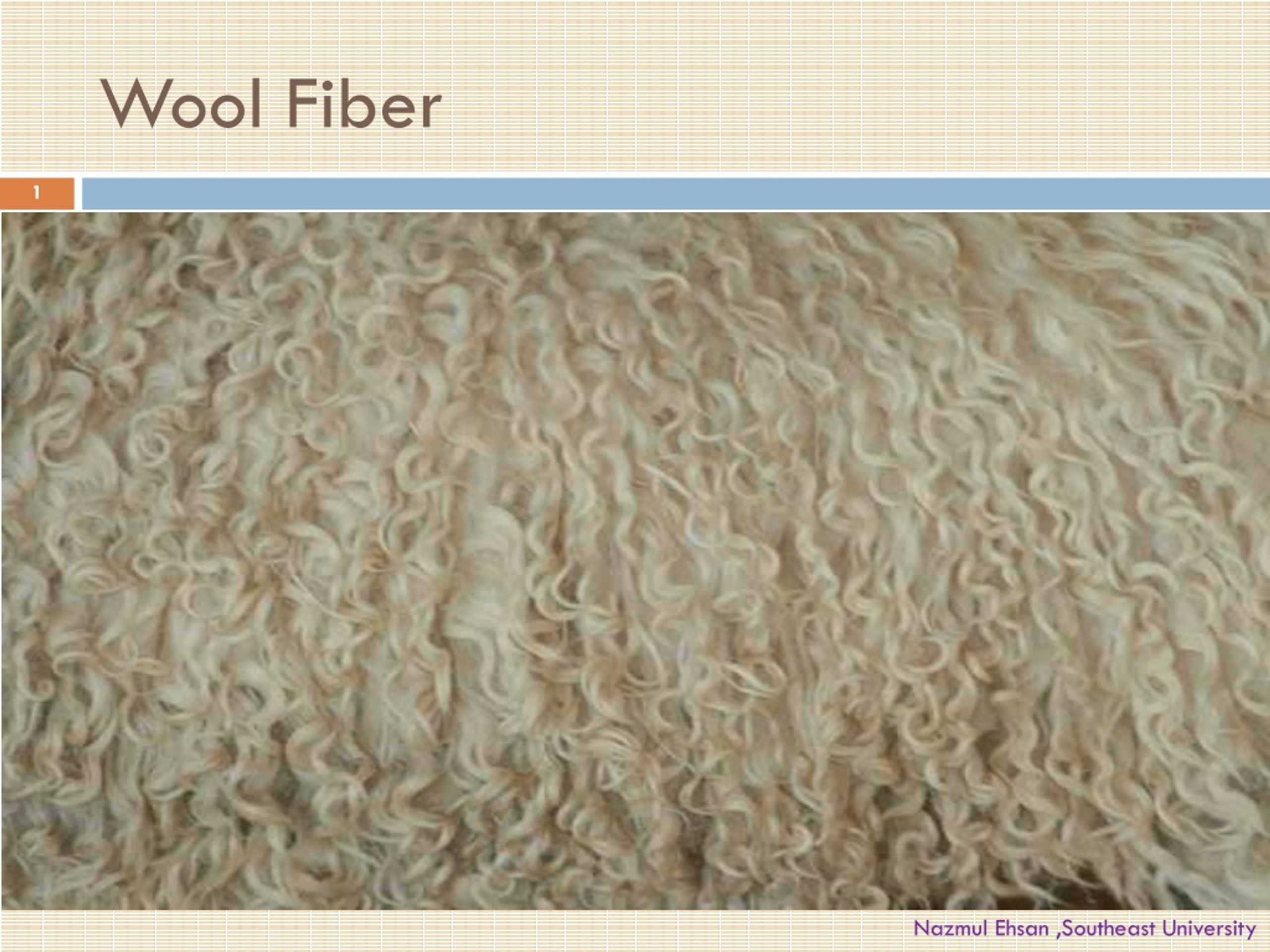 PPT - Wool fiber PowerPoint Presentation, free download - ID:8376853