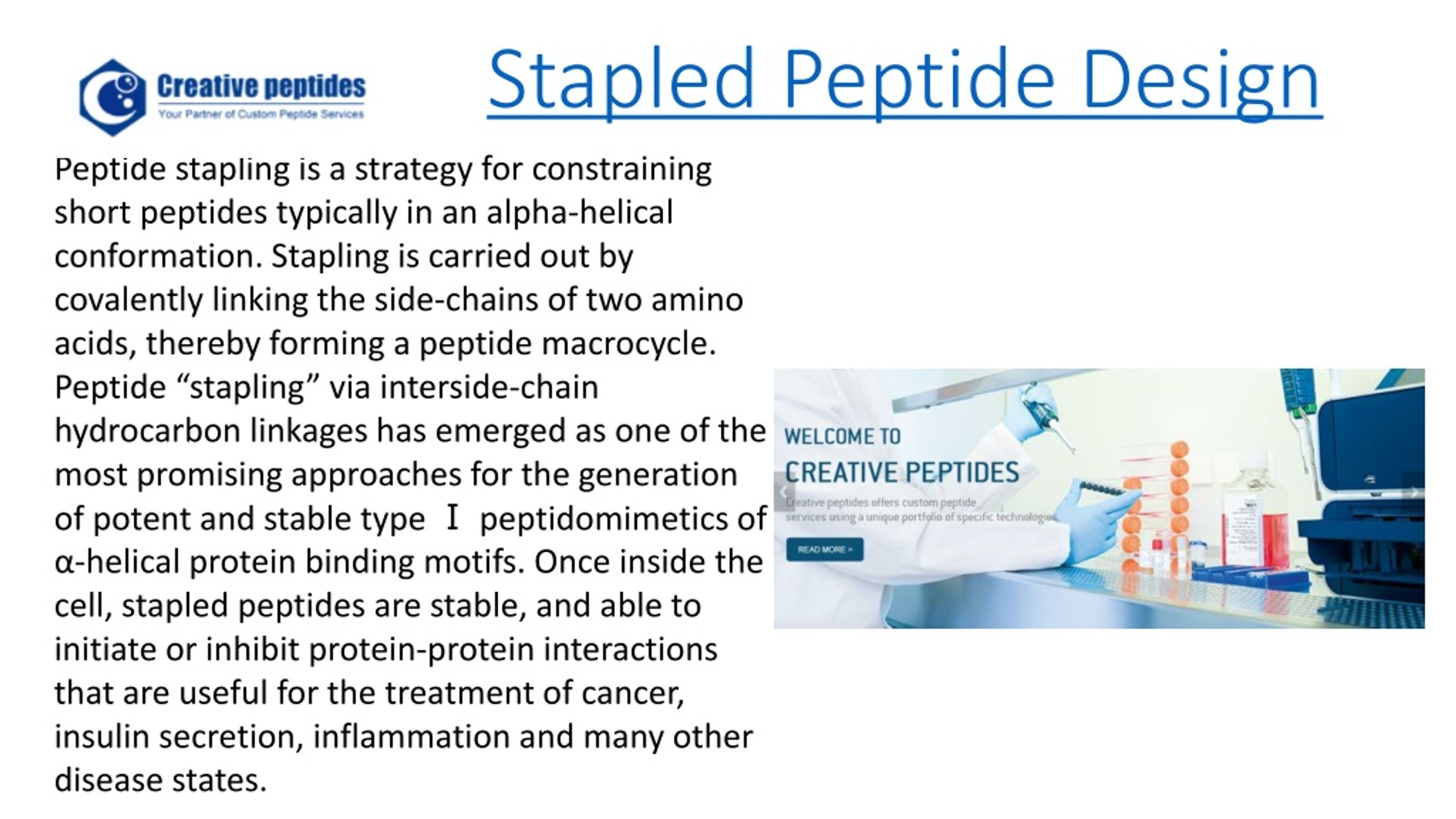 PPT - Stapled Peptide Design PowerPoint Presentation, free download ...