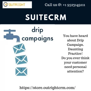 PPT - How Salesforce Drip Campaign help businesses and employees ...
