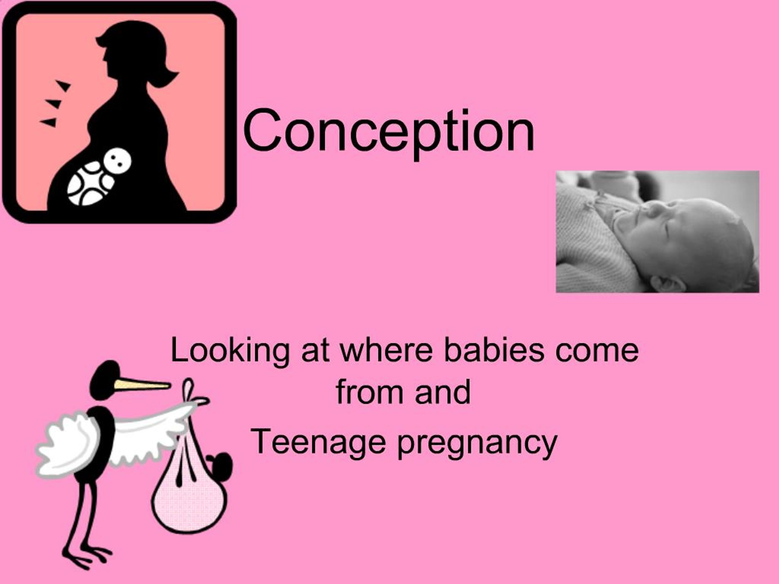 PPT - Conception PowerPoint Presentation, free download - ID:841648