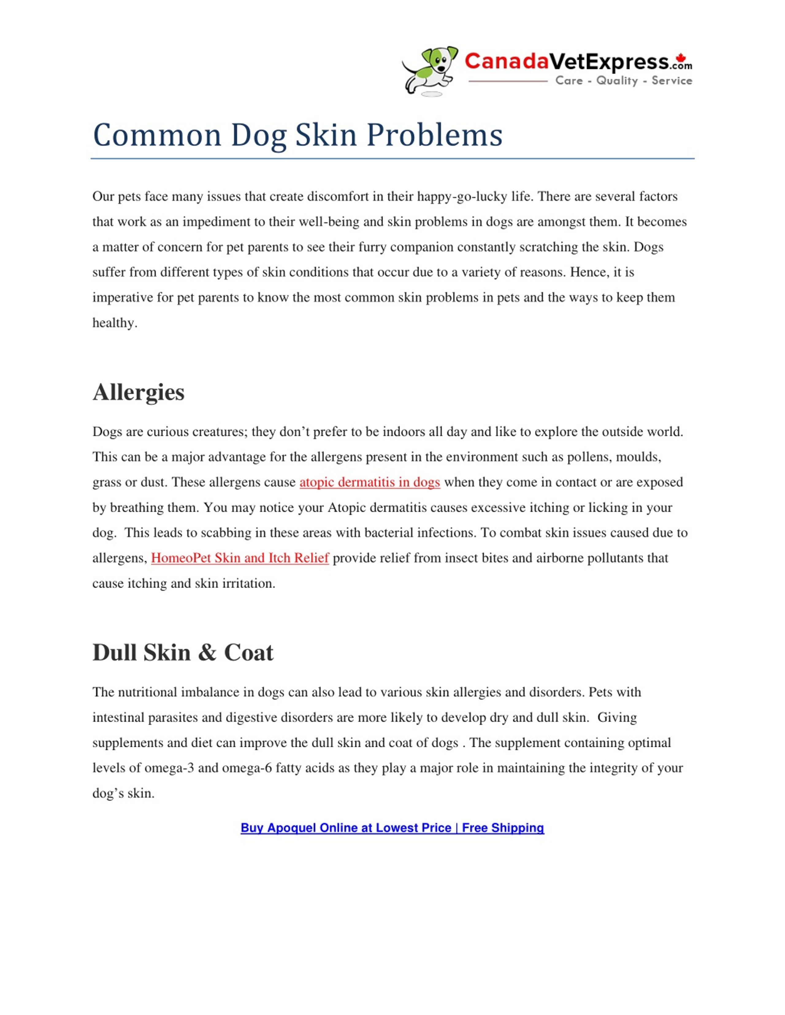 PPT - Common Dog Skin Problems PowerPoint Presentation, free download ...