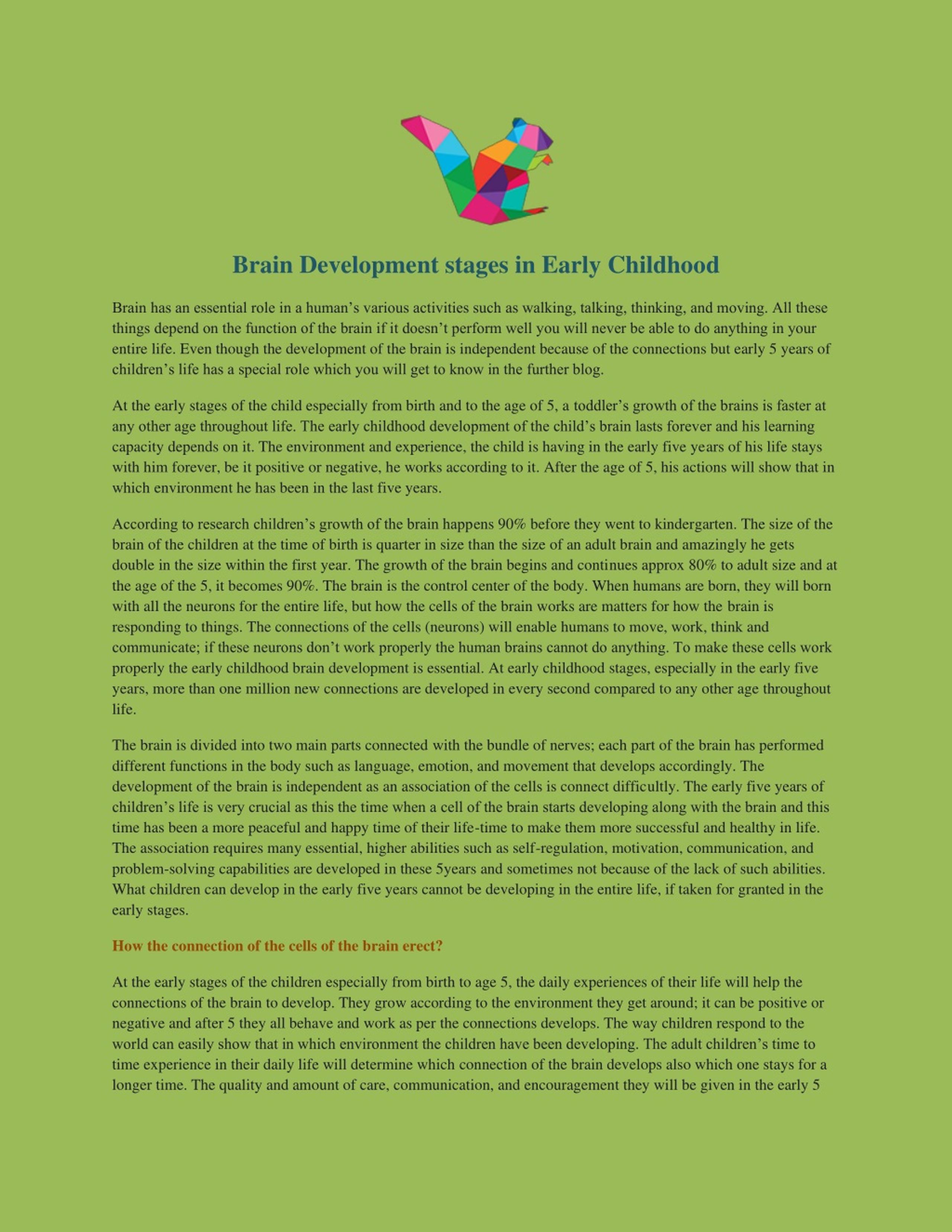 PPT - Brain Development stages in Early Childhood - Squizzle World ...