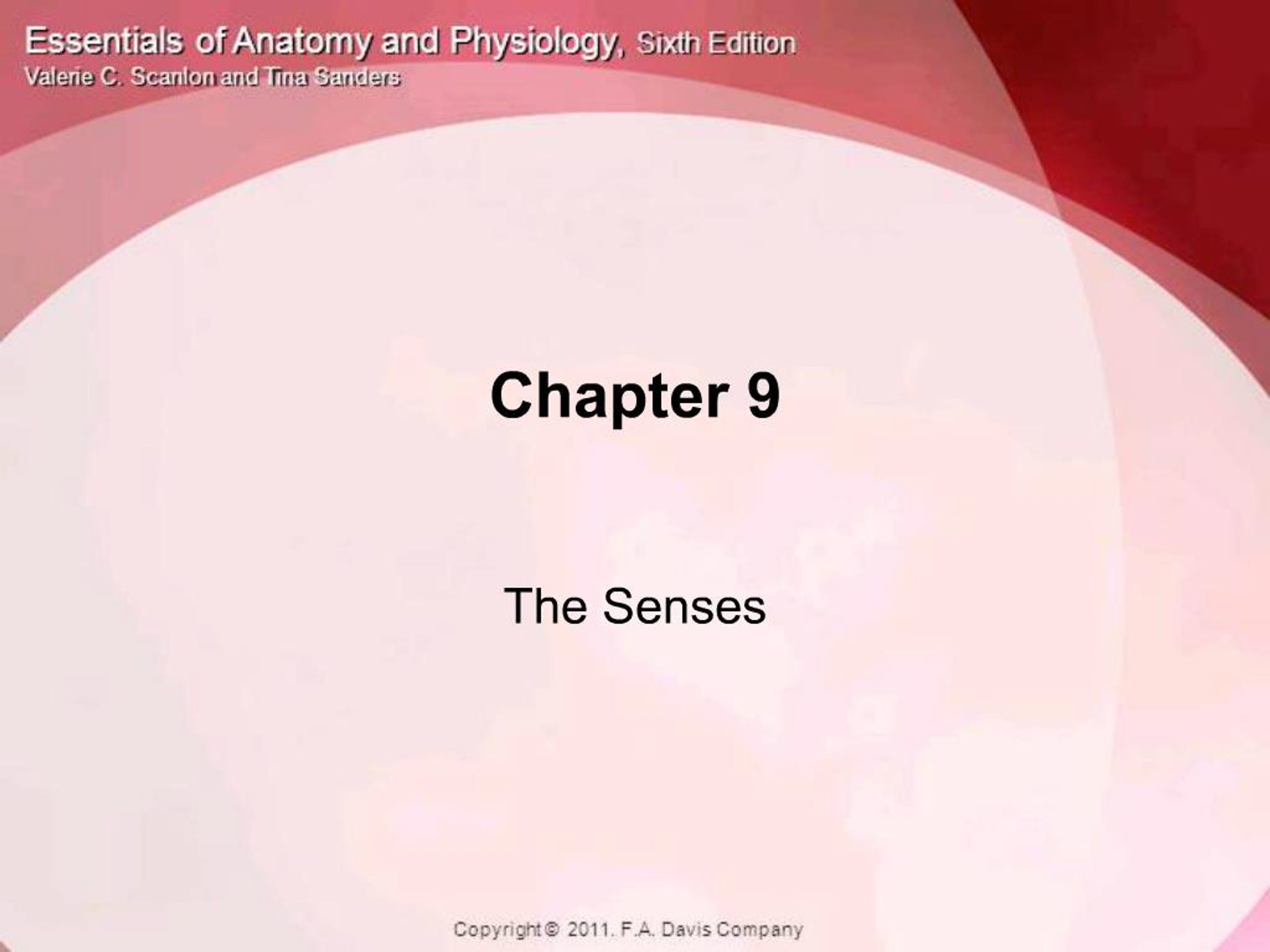 PPT - The Senses PowerPoint Presentation, free download - ID:851461