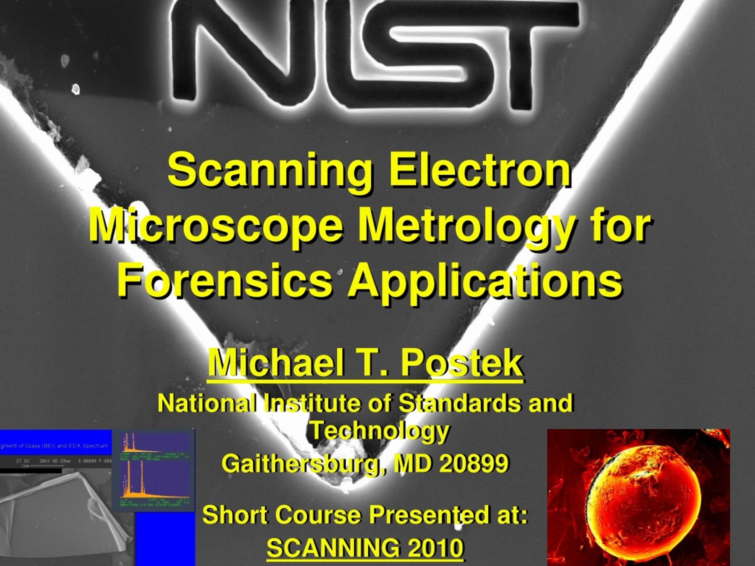 PPT - Scanning Electron Microscope Metrology for Forensics Applications PowerPoint Presentation ...