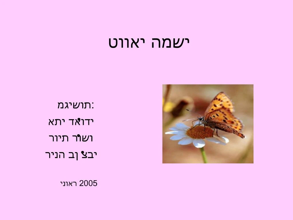 PPT - : 2005 PowerPoint Presentation, free download - ID:853508