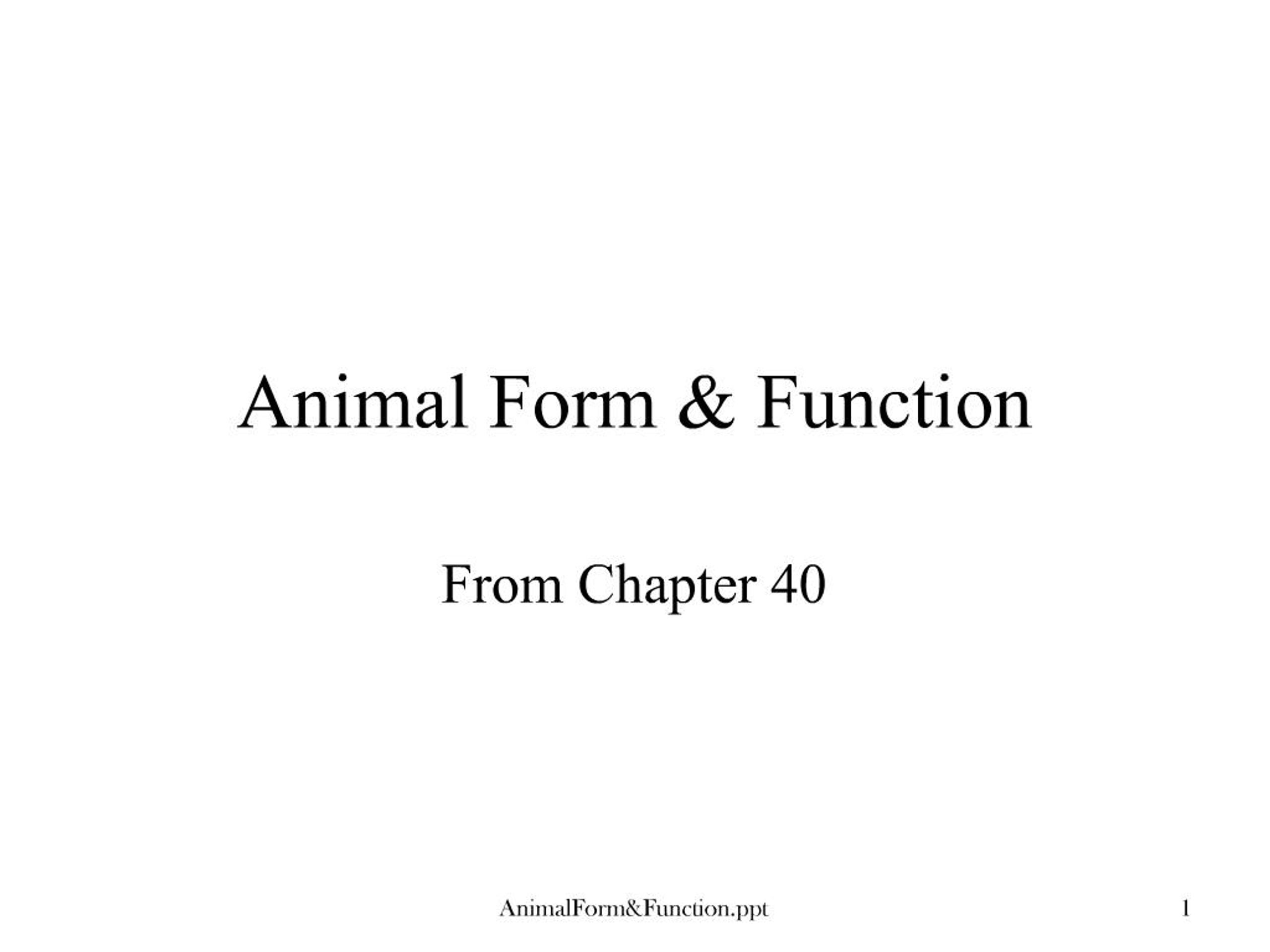 PPT - Animal Form Function PowerPoint Presentation, free download - ID ...