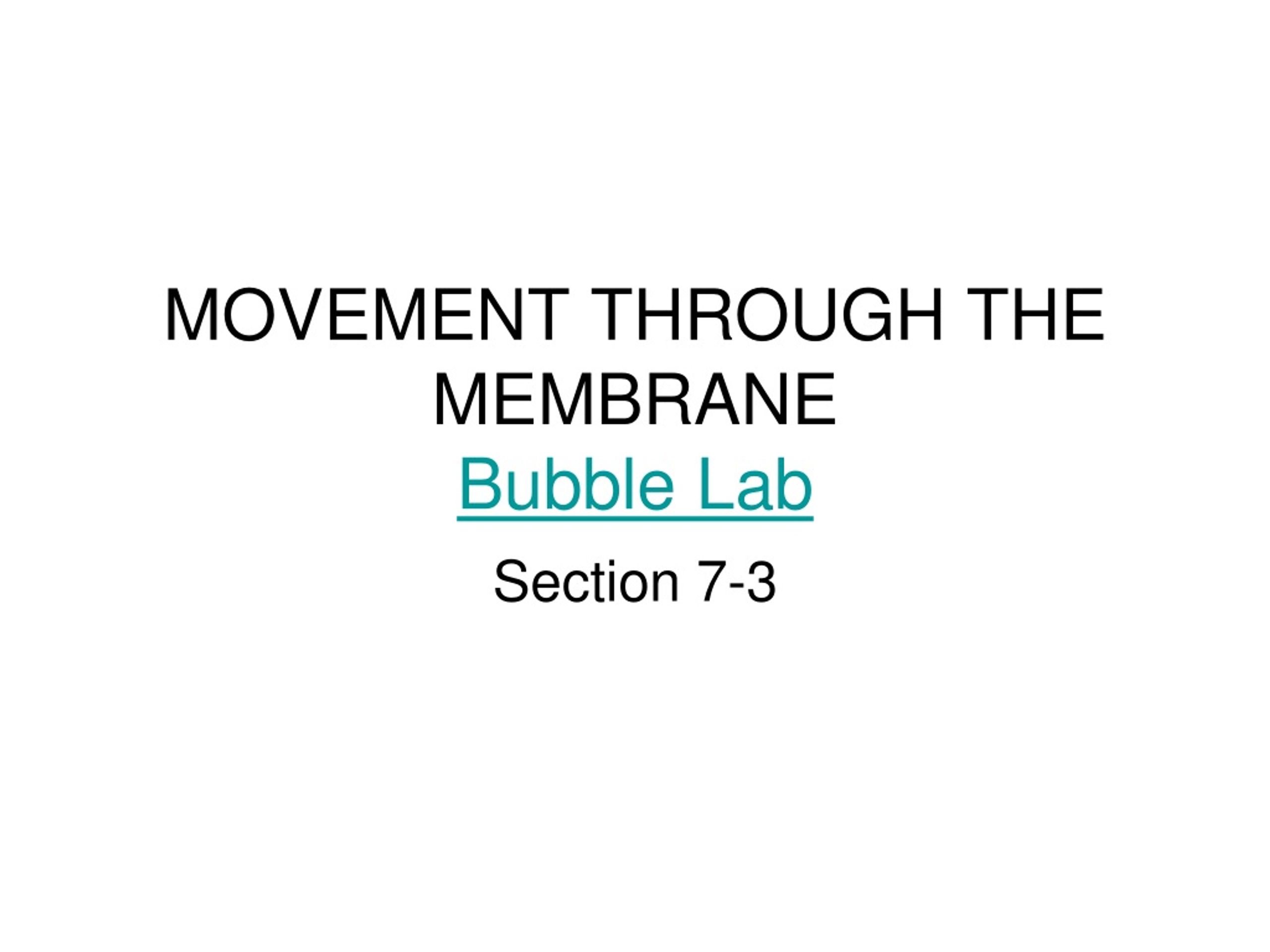 PPT - MOVEMENT THROUGH THE MEMBRANE Bubble Lab PowerPoint Presentation ...
